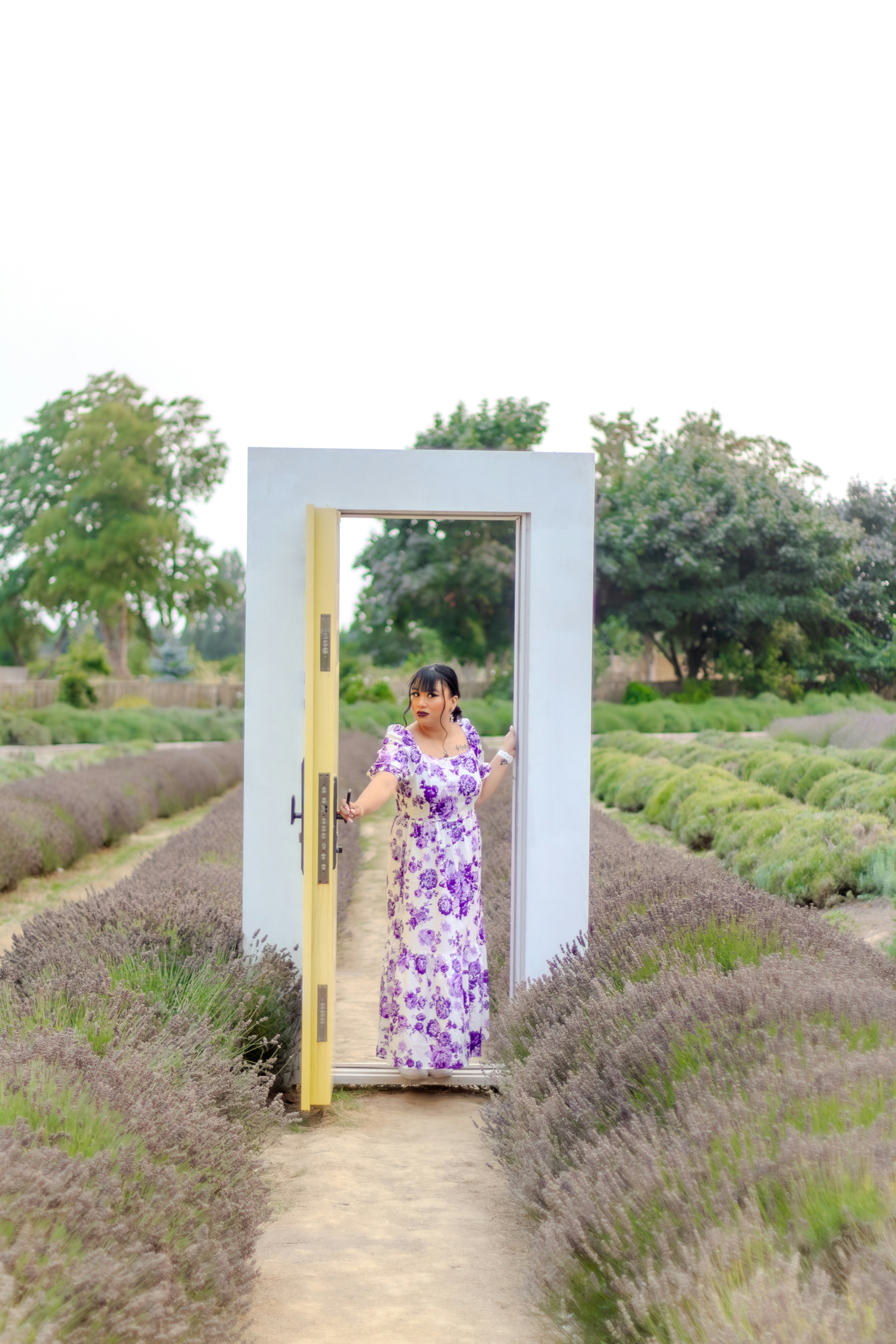 Through the Lavender Gate: A Floral Portrait in the Garden Path