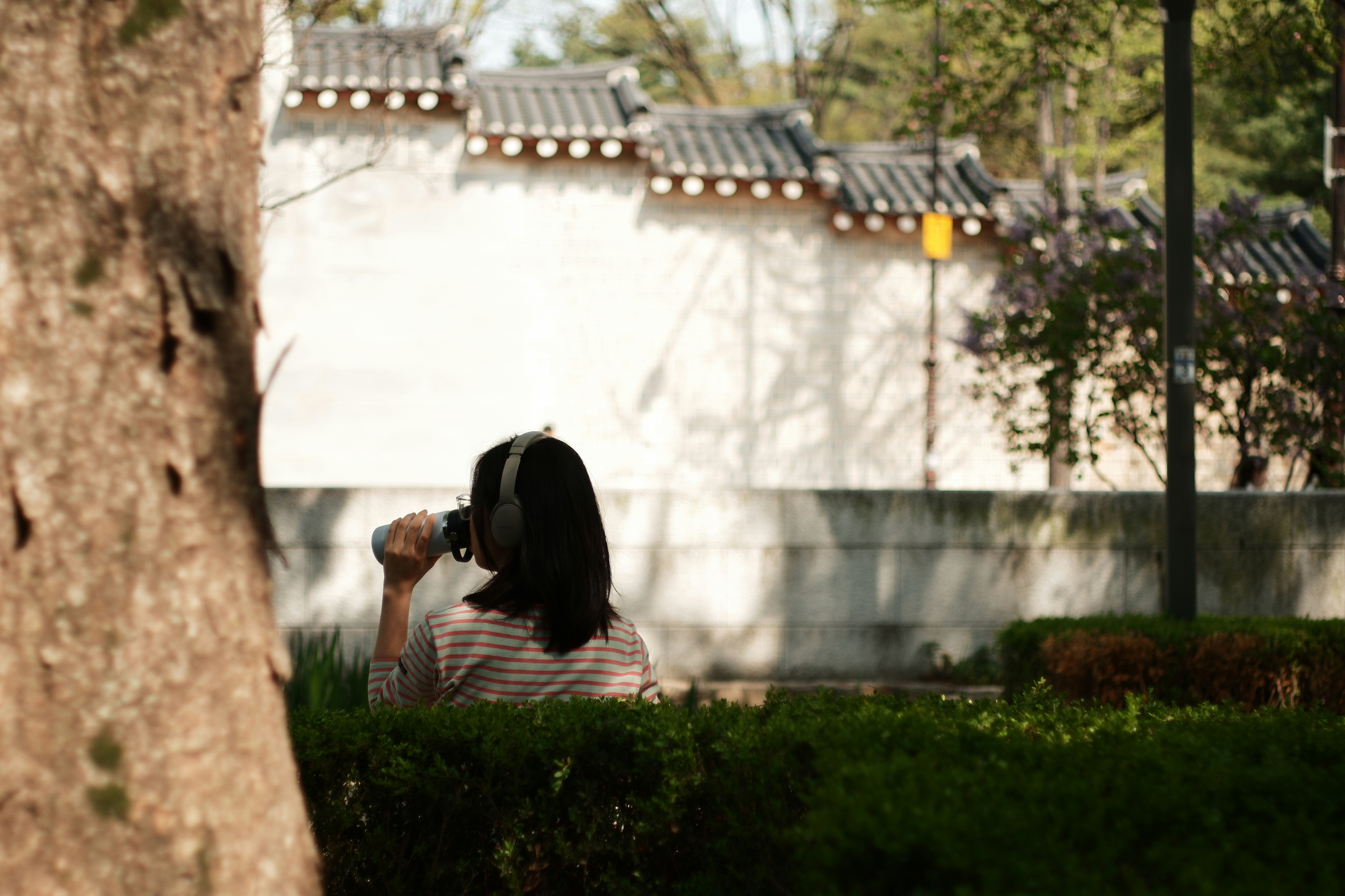 A person with a camera stands behind a hedge, aiming toward a light mural wall with traditional roof tiles; the scene conveys a candid, contemplative moment in a sunlit courtyard. This is a photographic capture, not a painting or illustration.