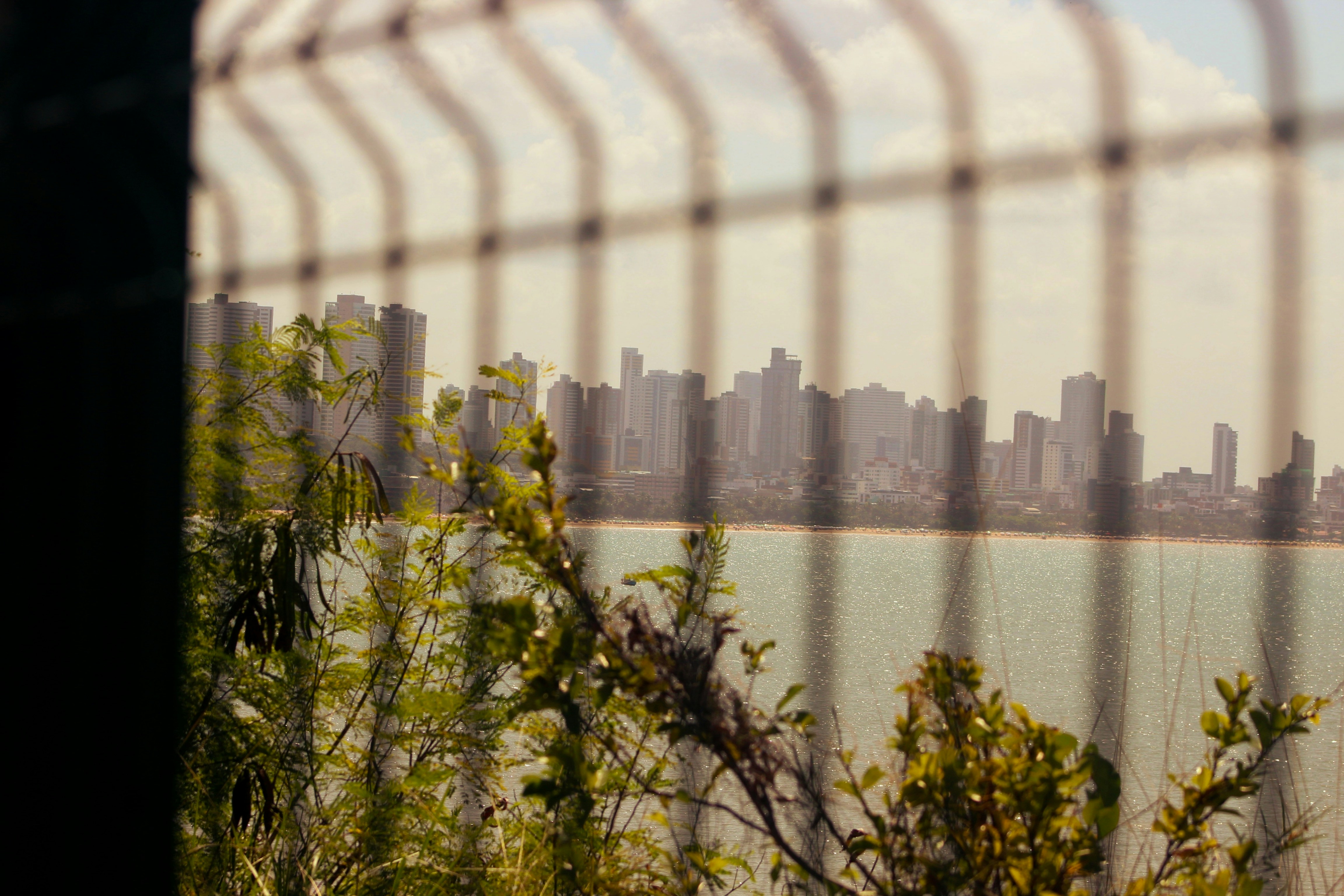 Rusted Gate Framing a Distant Skyline