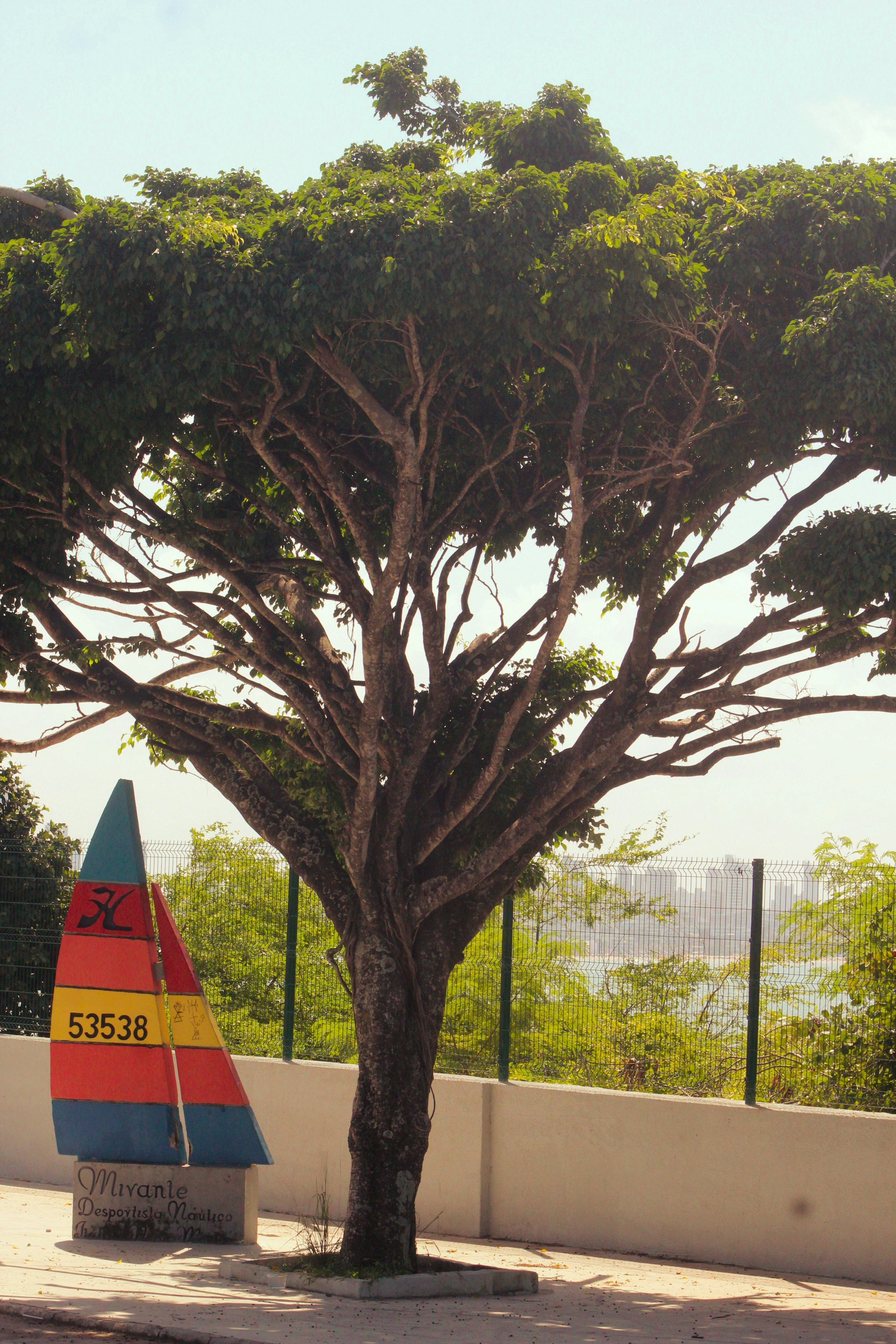 Majestic Canopy Over a Seaside Playground