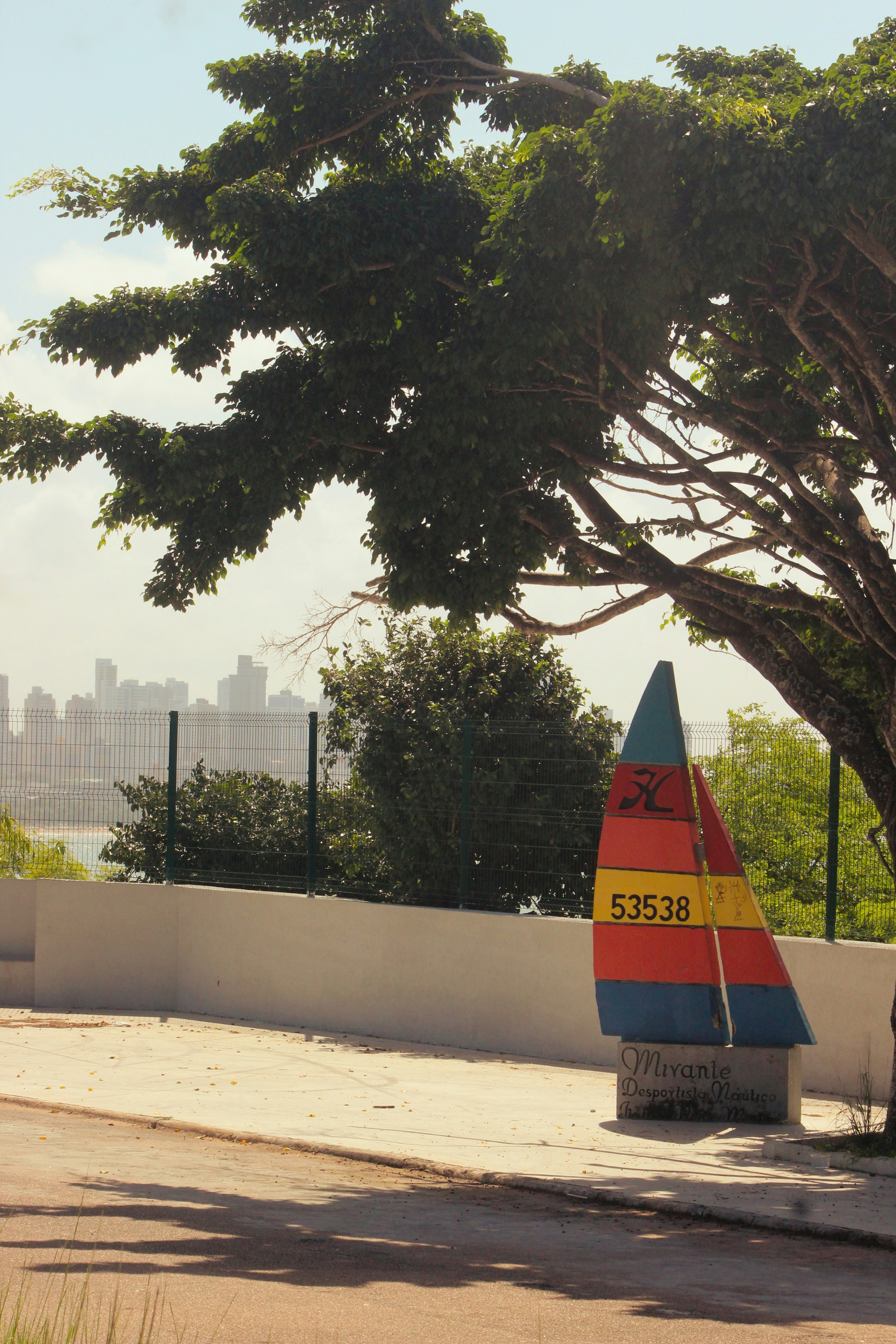 Colorful buoy near a sun-drenched seaside path beneath a sprawling tree