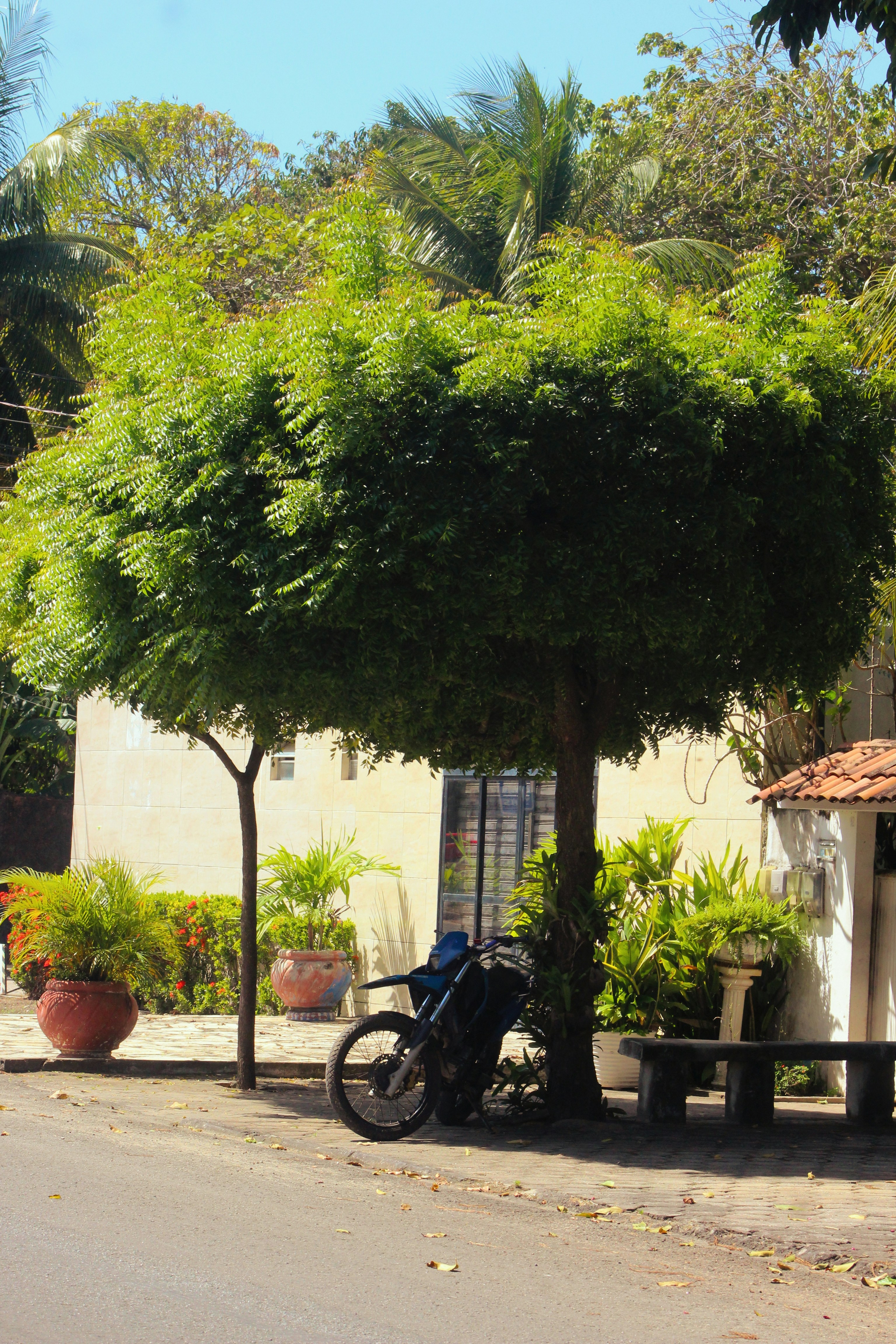Shade and Steel: A Quiet Street Scene with a Lone Motorcycle