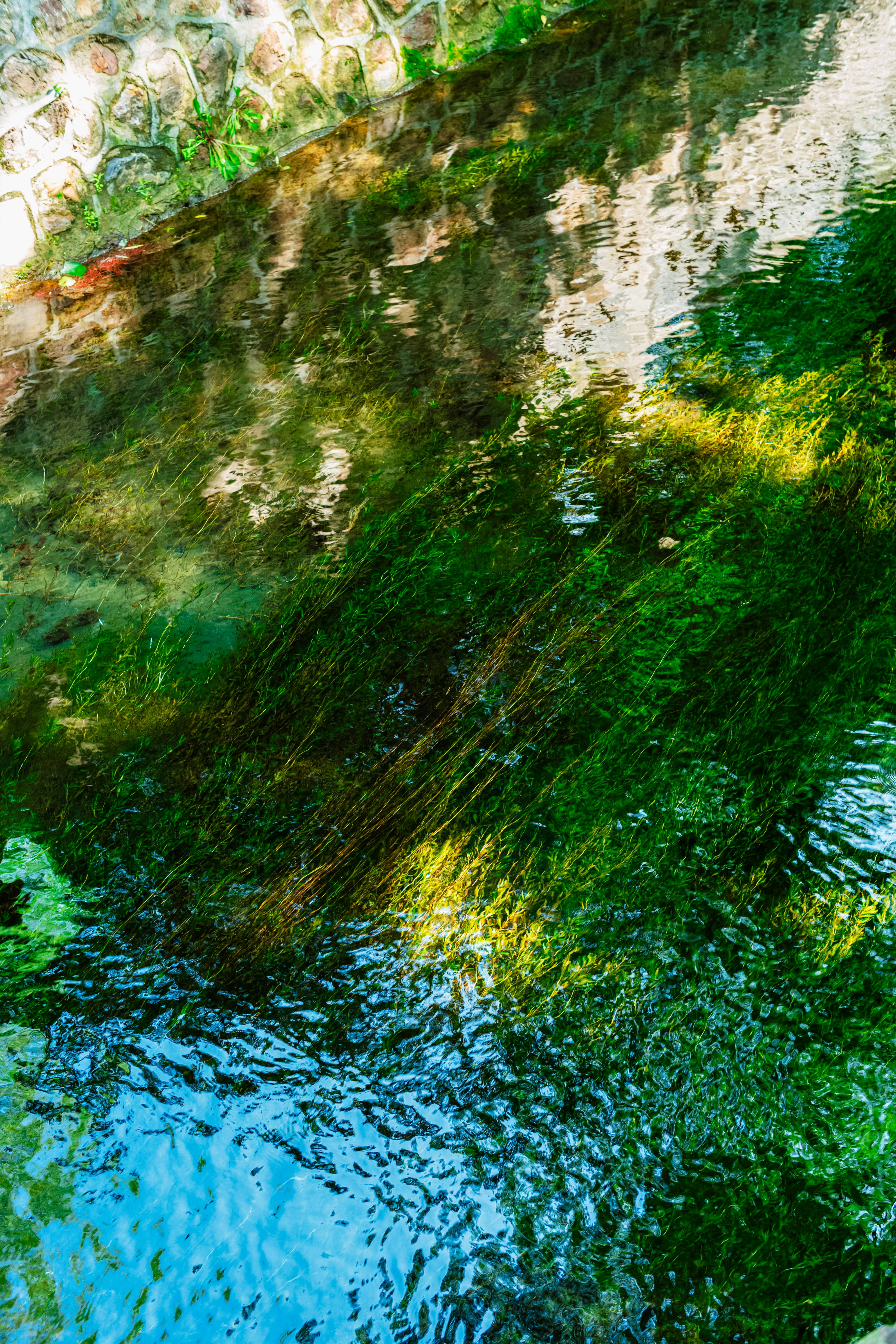 Undercurrent of Green: A Confident Reflection on Glassy Water