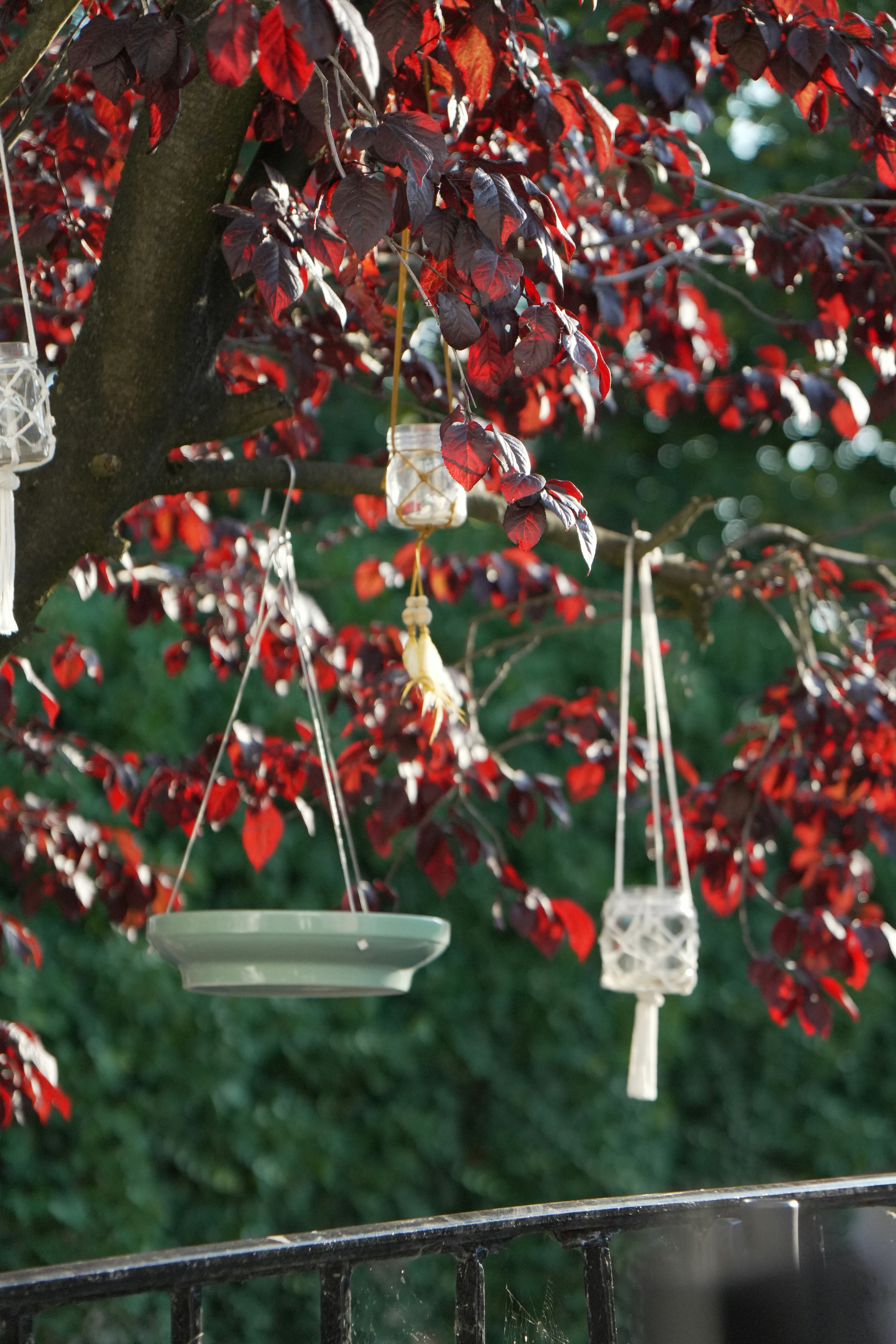 Red Leaves and Hanging Ornaments: Quiet Garden Details