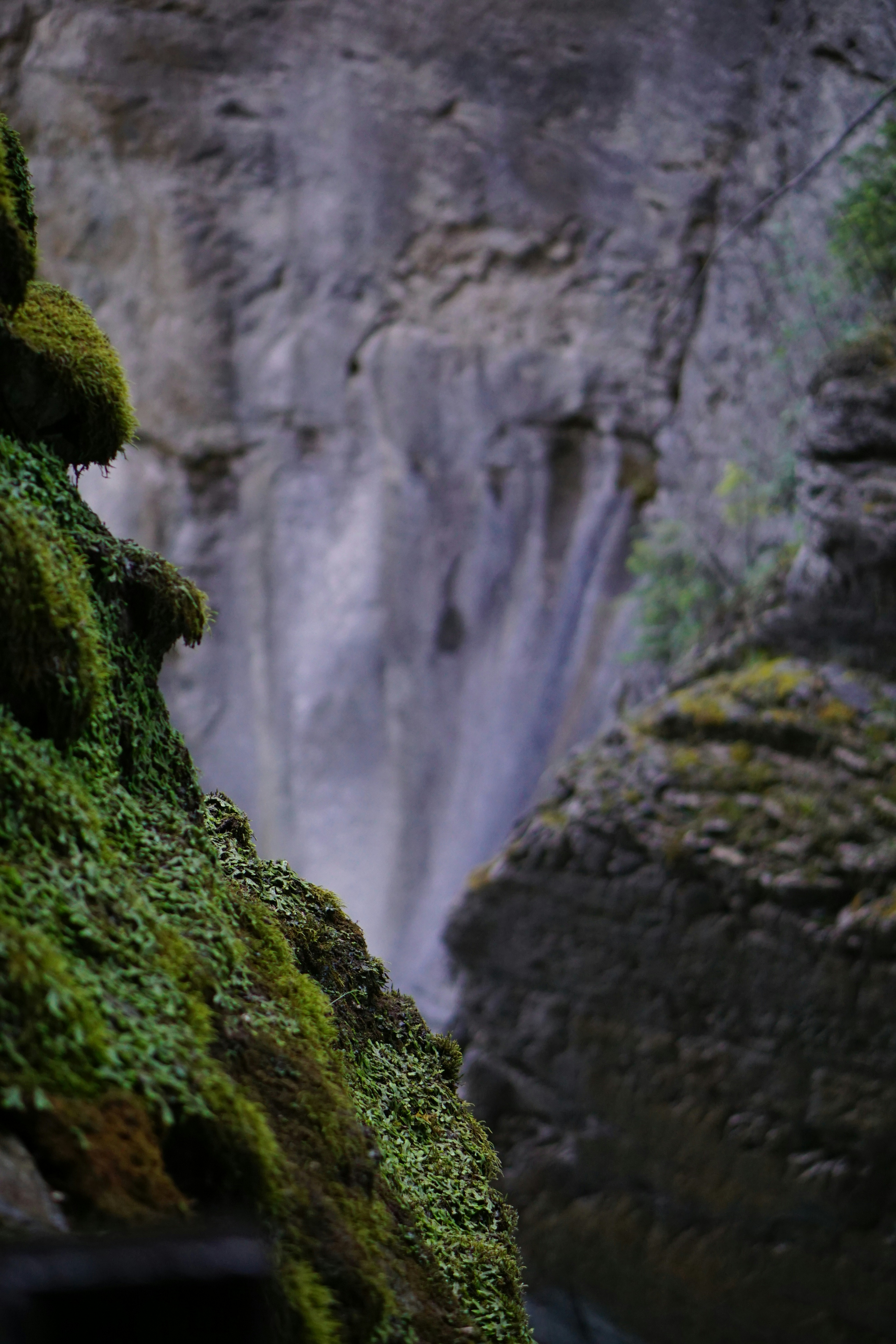 Moss-Cilled Cliff Face Beside a Veiled Waterfall