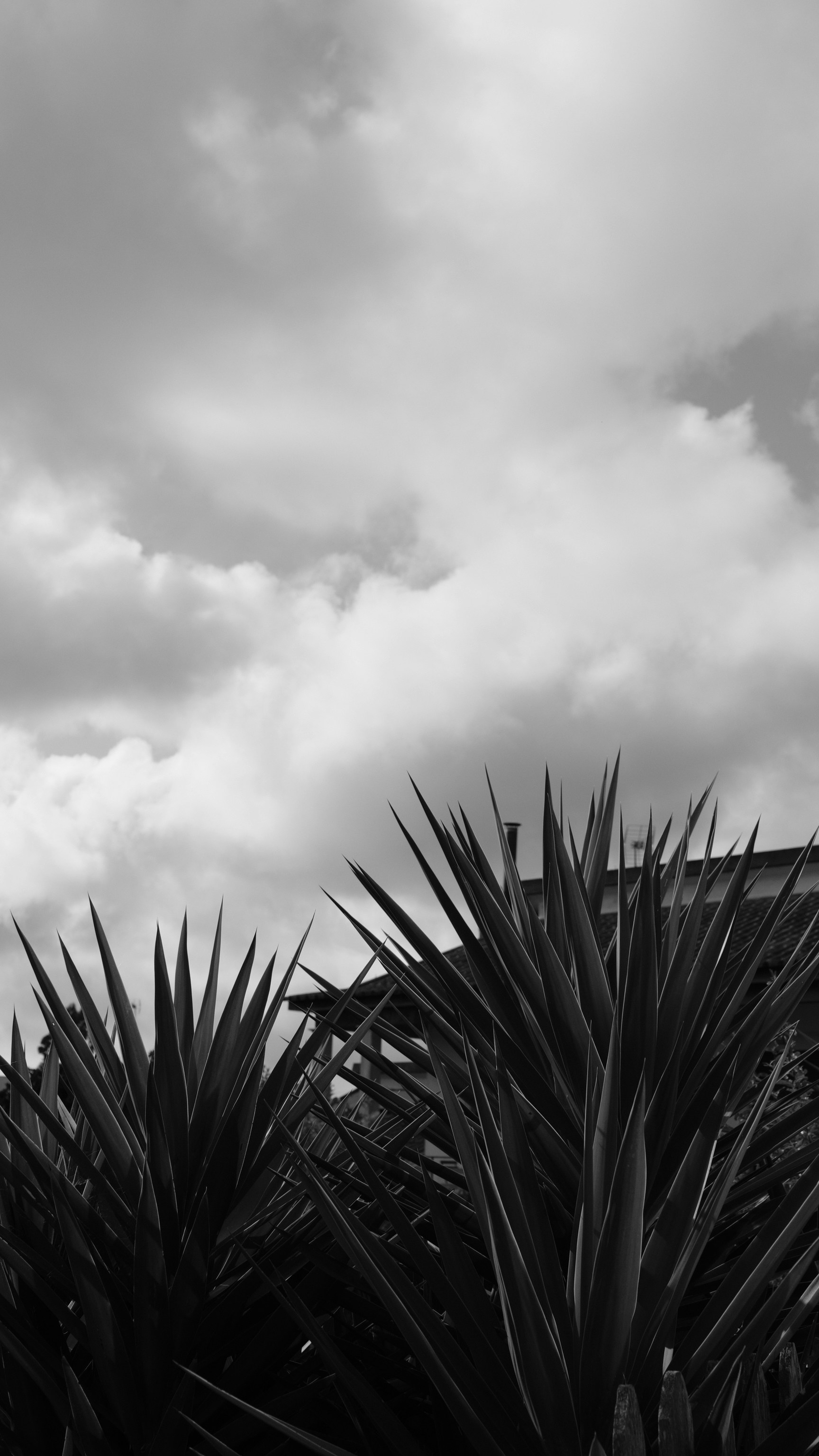 Deserted spires against a cloudy horizon