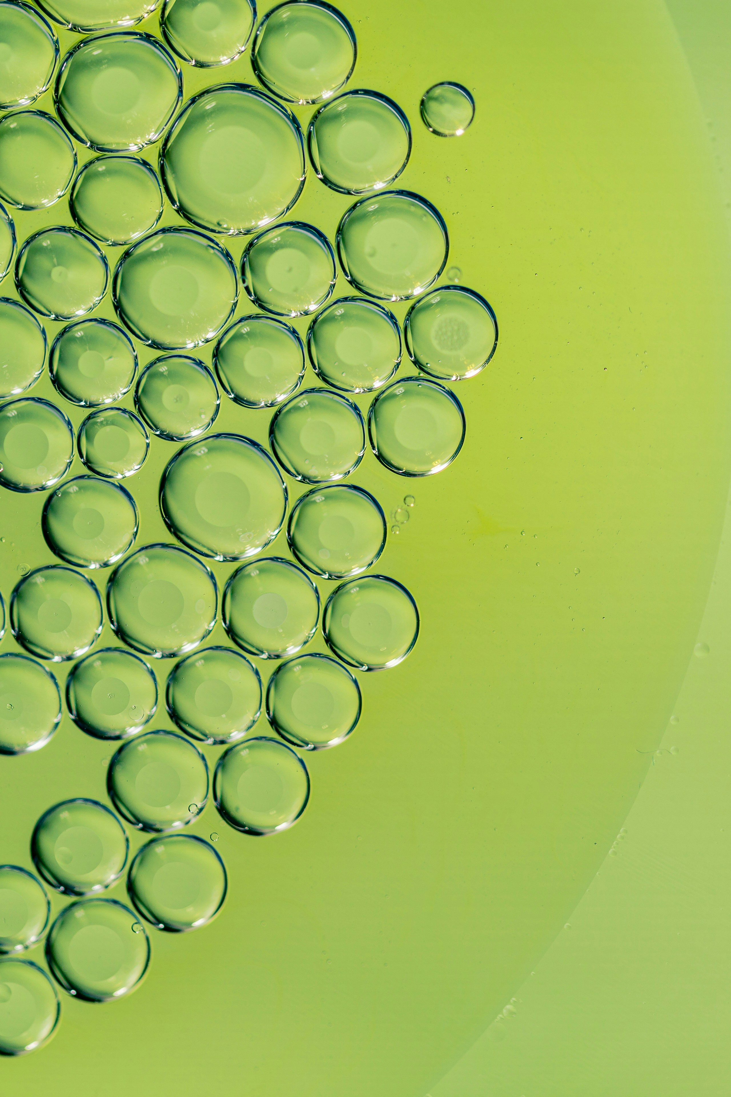 Cluster of glossy green bubbles arranged along a curved plate edge with a bright lime background.