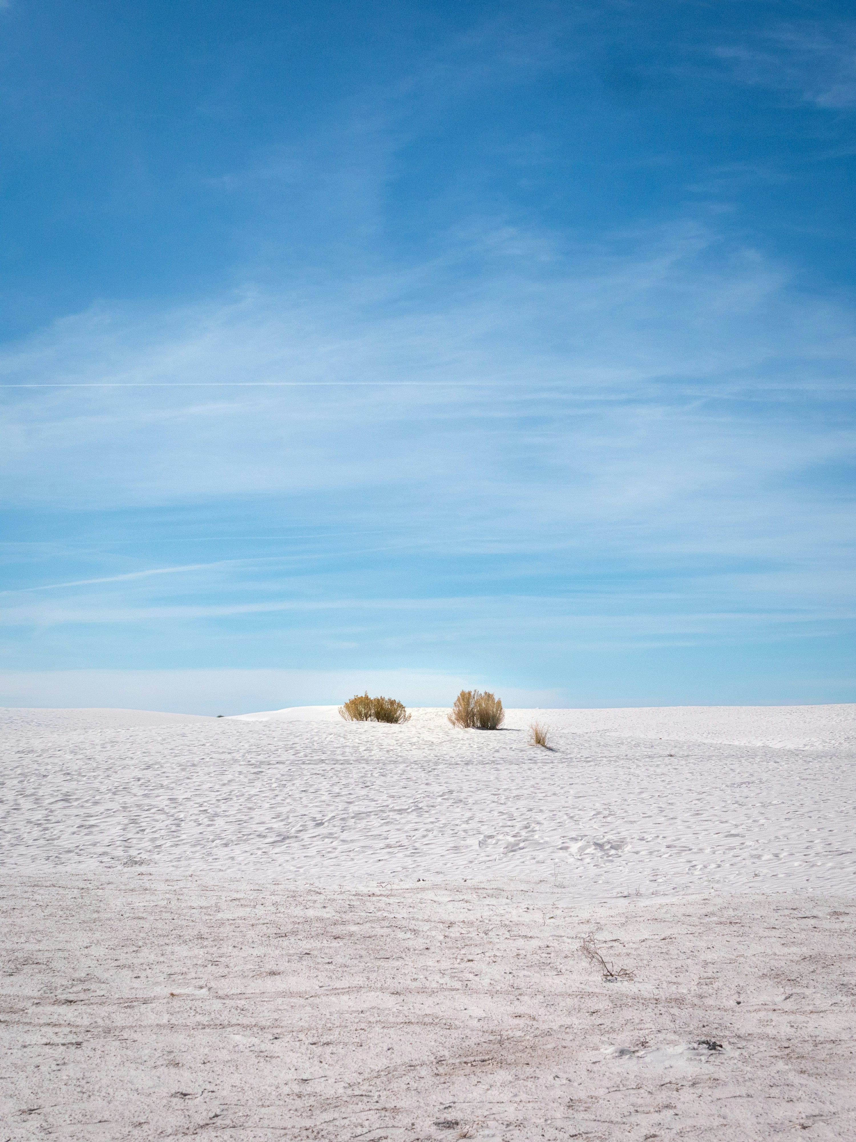 Desert Dunes and Sparse Scrub under Cerulean Noon