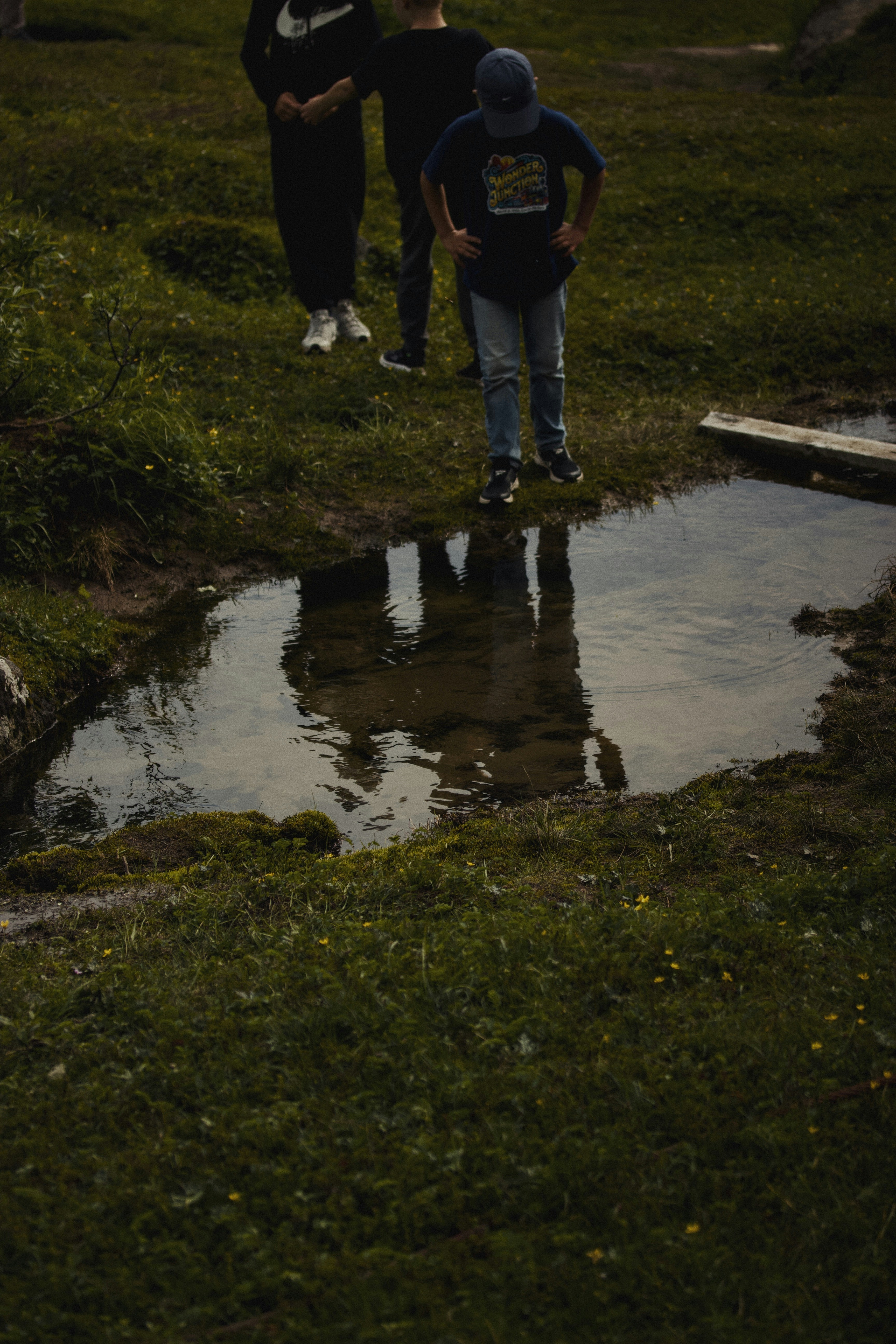 Three Shadows Over a Quiet Creek