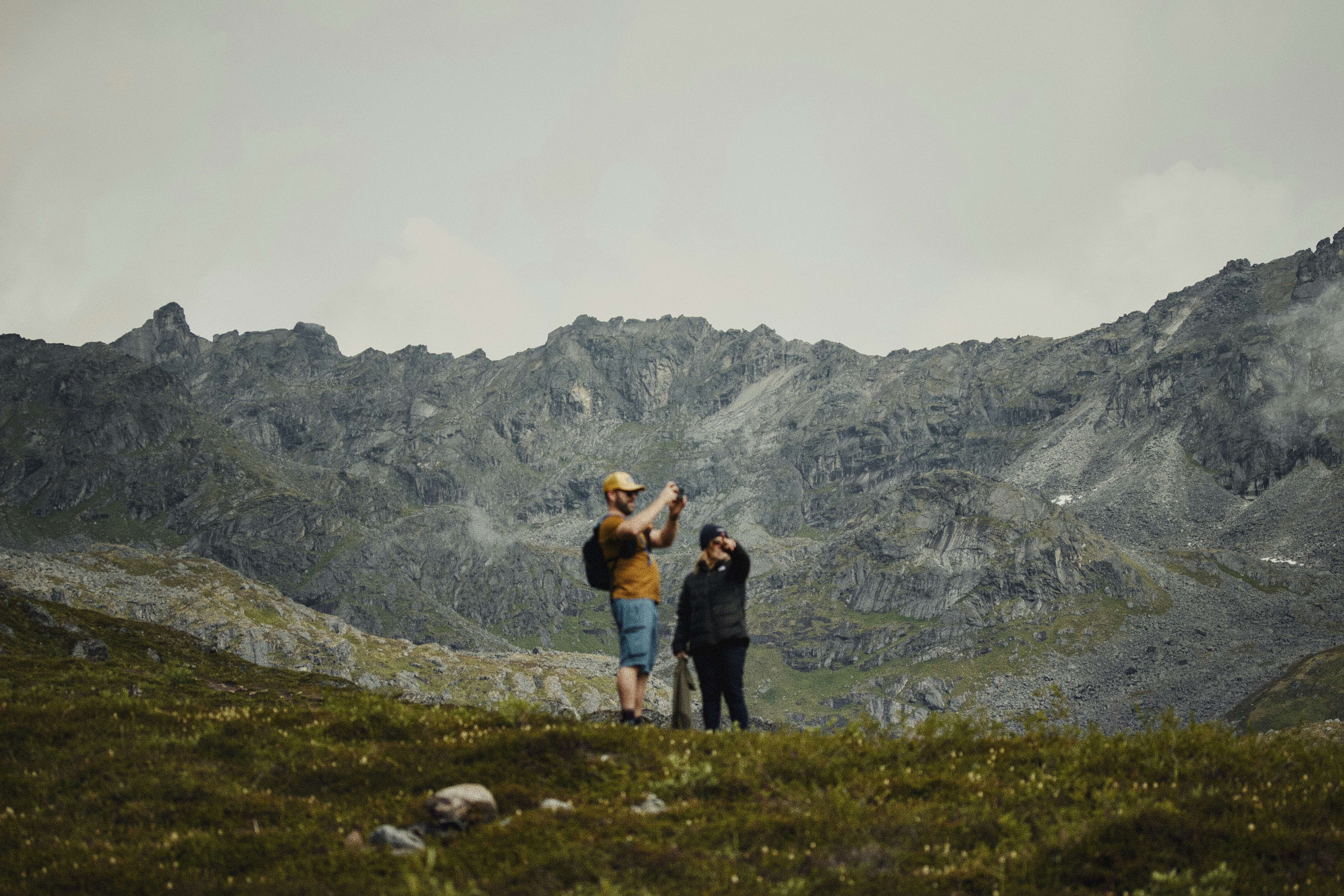 Mist on the Ridge: A Moment Captured Above the Wildflowers