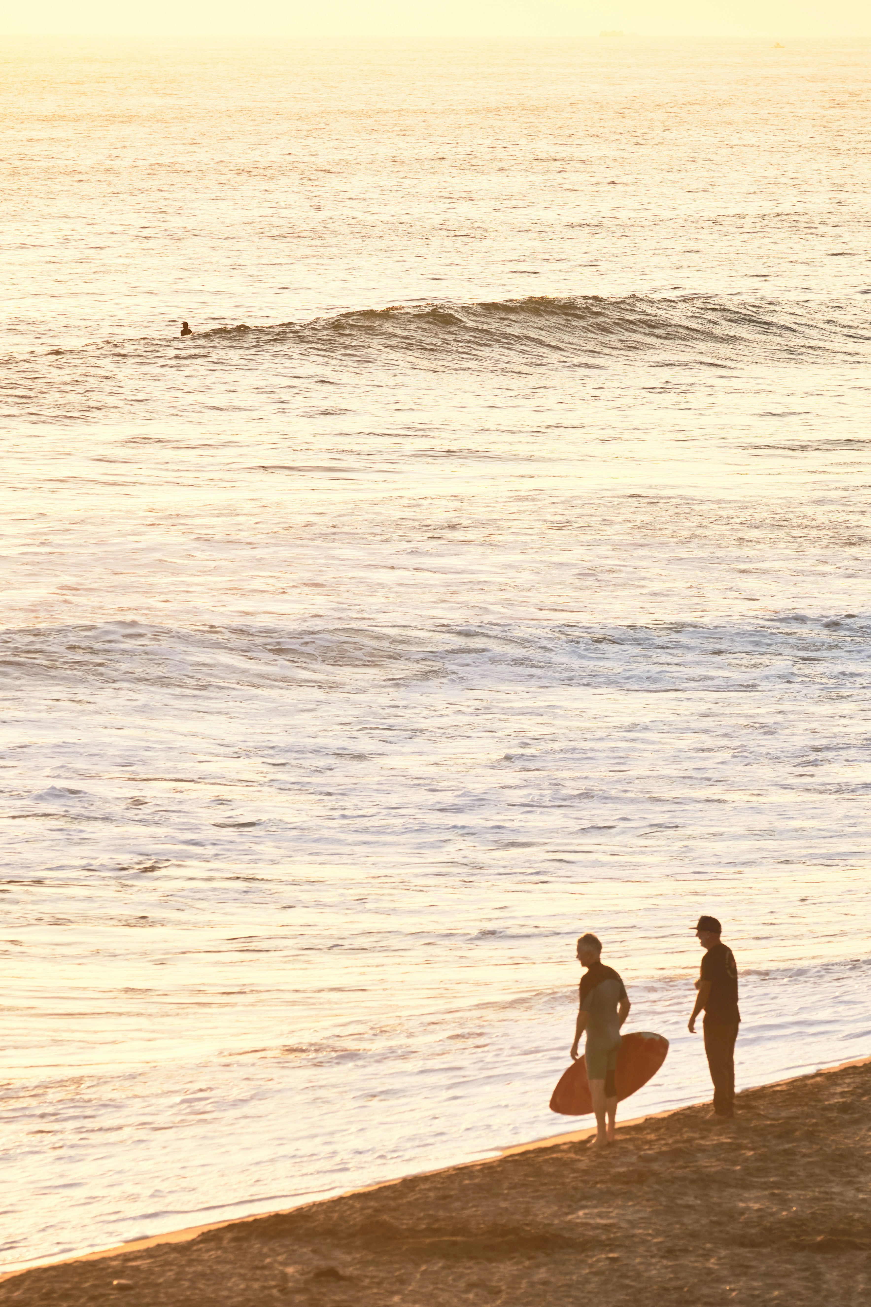 Longshore Duo at Golden Hour