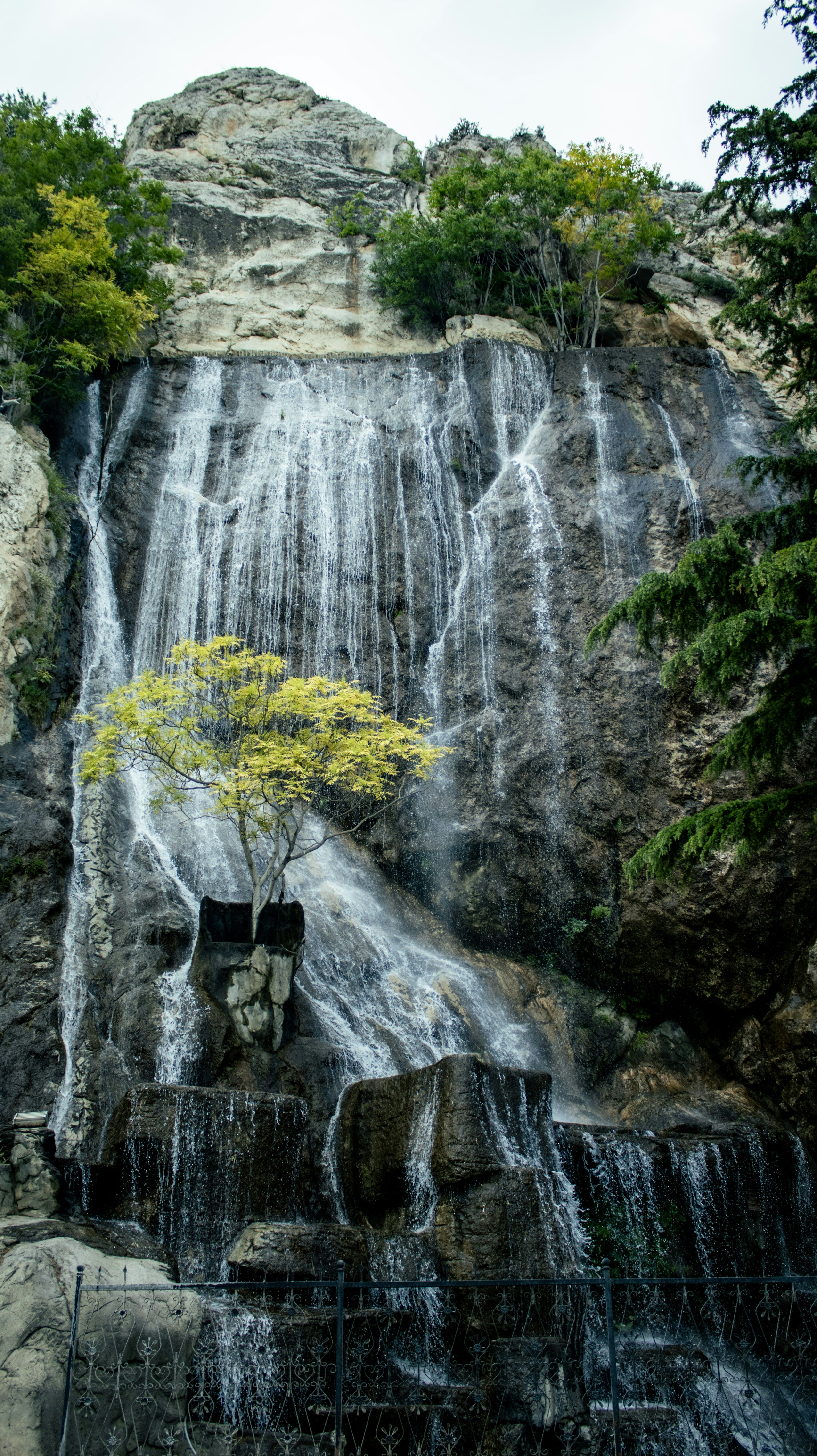 Whispering Staircase: A Cascading Rock Face with Lone Tree