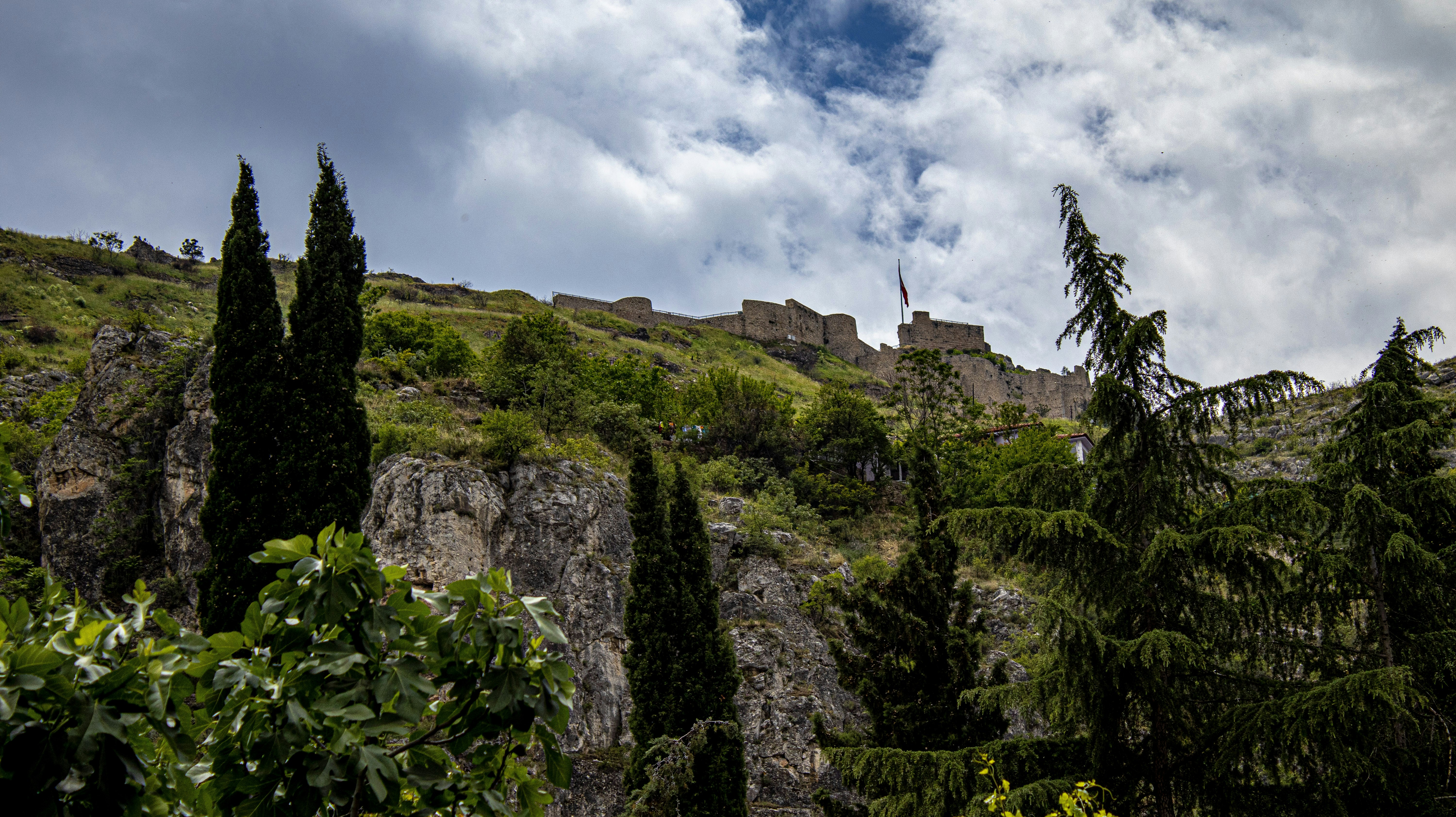 Hilltop Ruins Soaring Above Pine and Stone