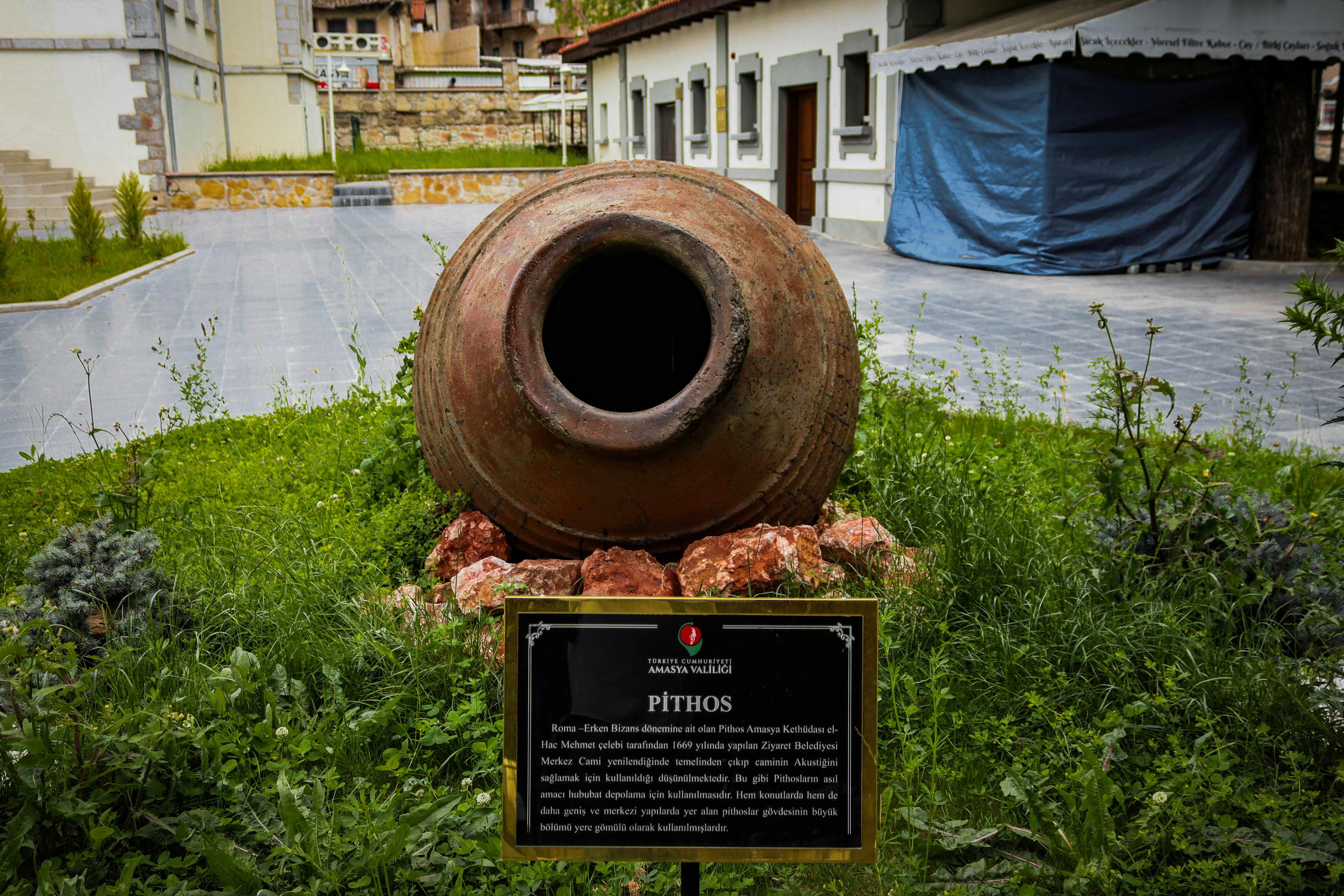 Ancient Amphora Sits Guarded by Greenery in a Courtyard