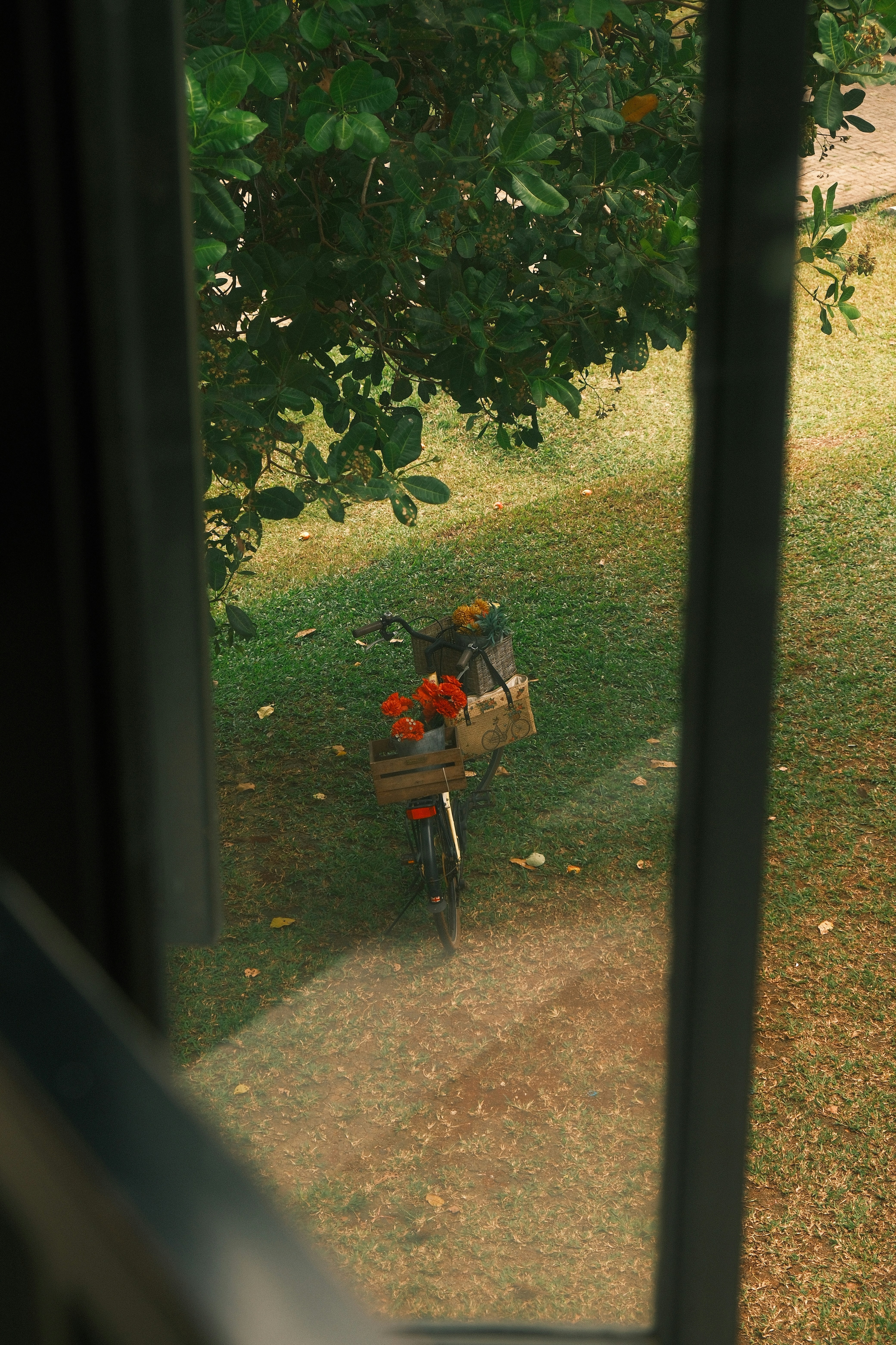 Bike with Flowered Basket Through a Framing Window