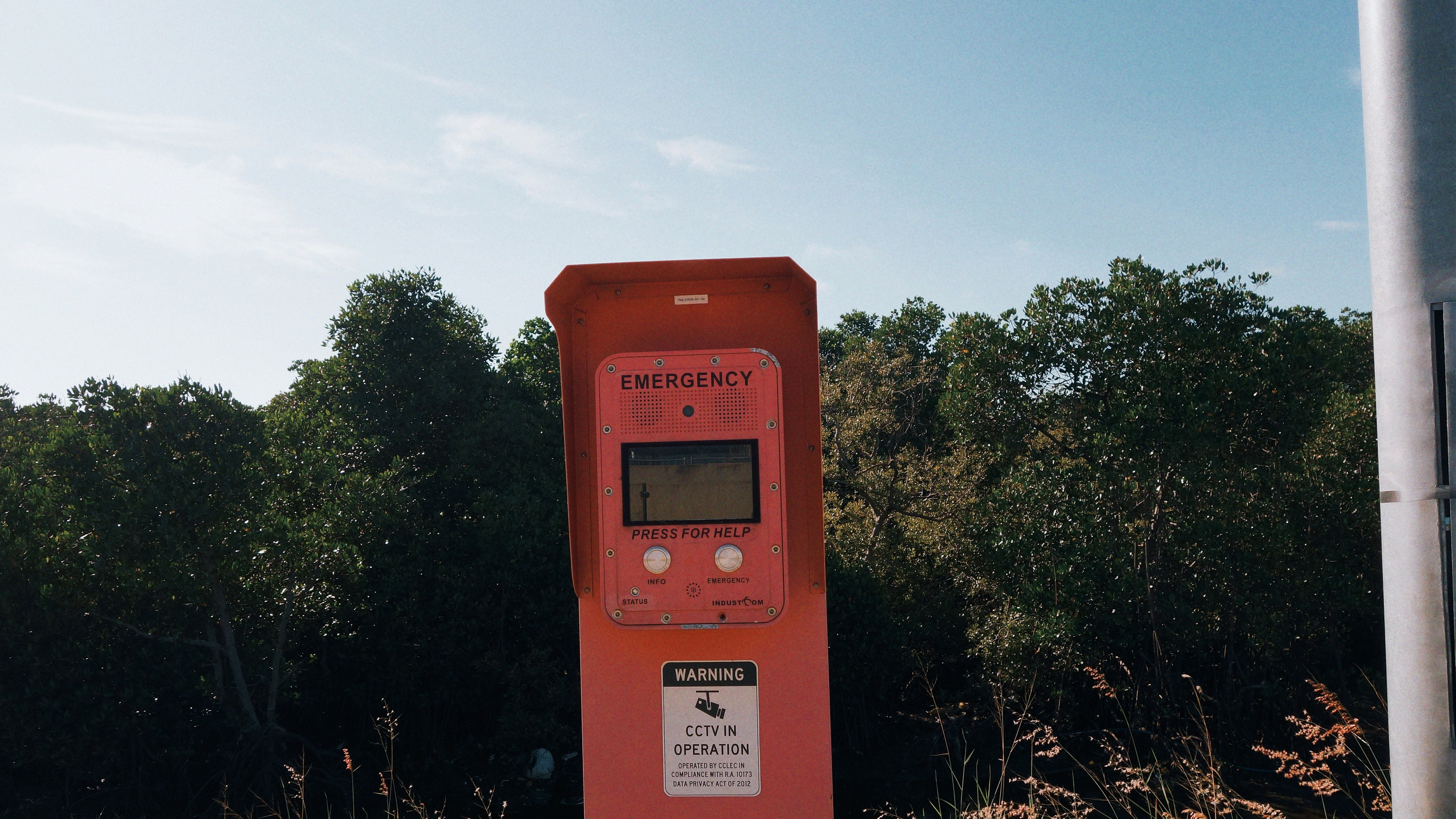 Scarlet Emergency Box Against a Quiet Park Backdrop