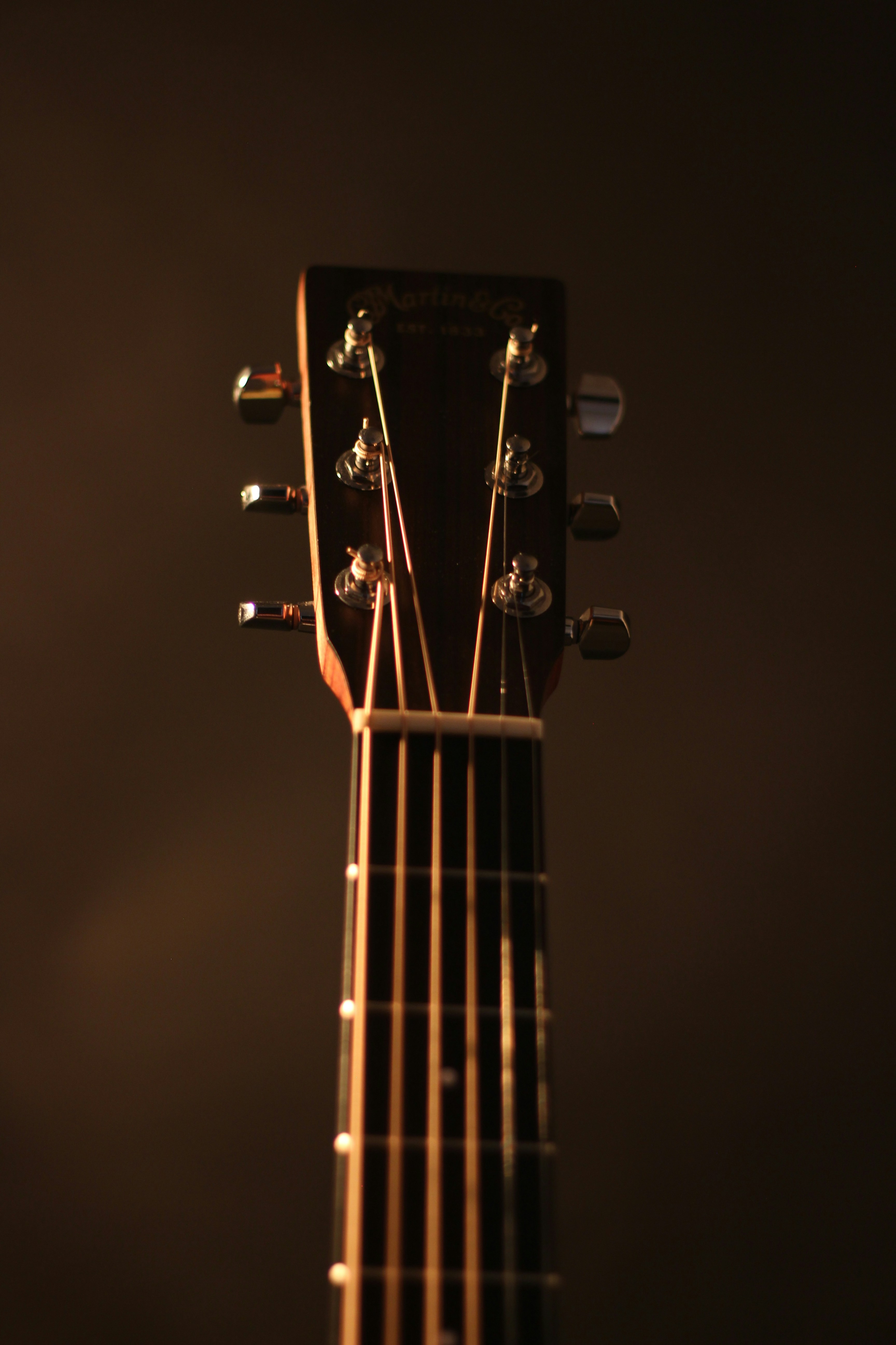 Guitar Headstock in warm glow: strings catching the last light