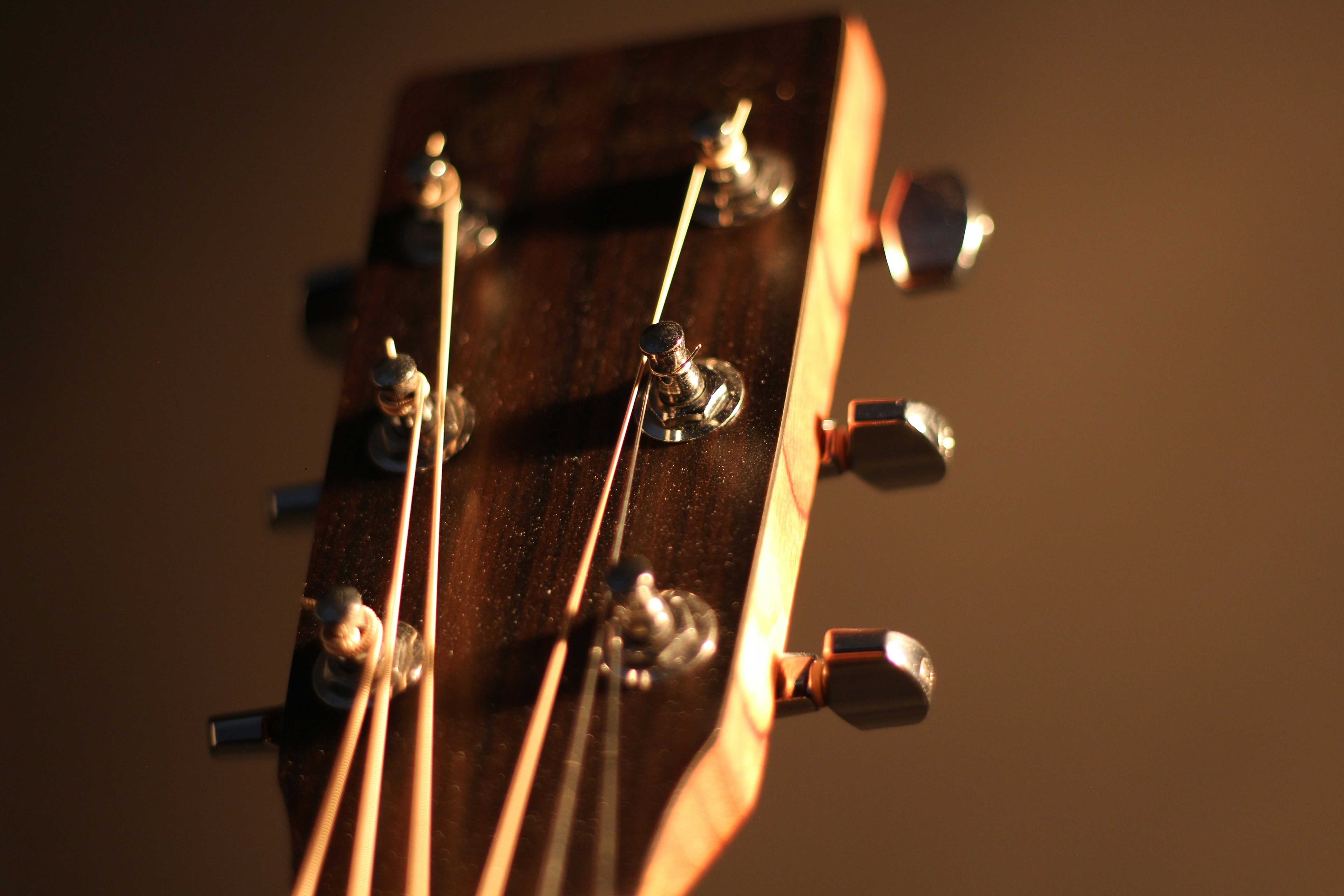 Strings in Focus: A Guitar Headstock Leaning Into the Warm Glow