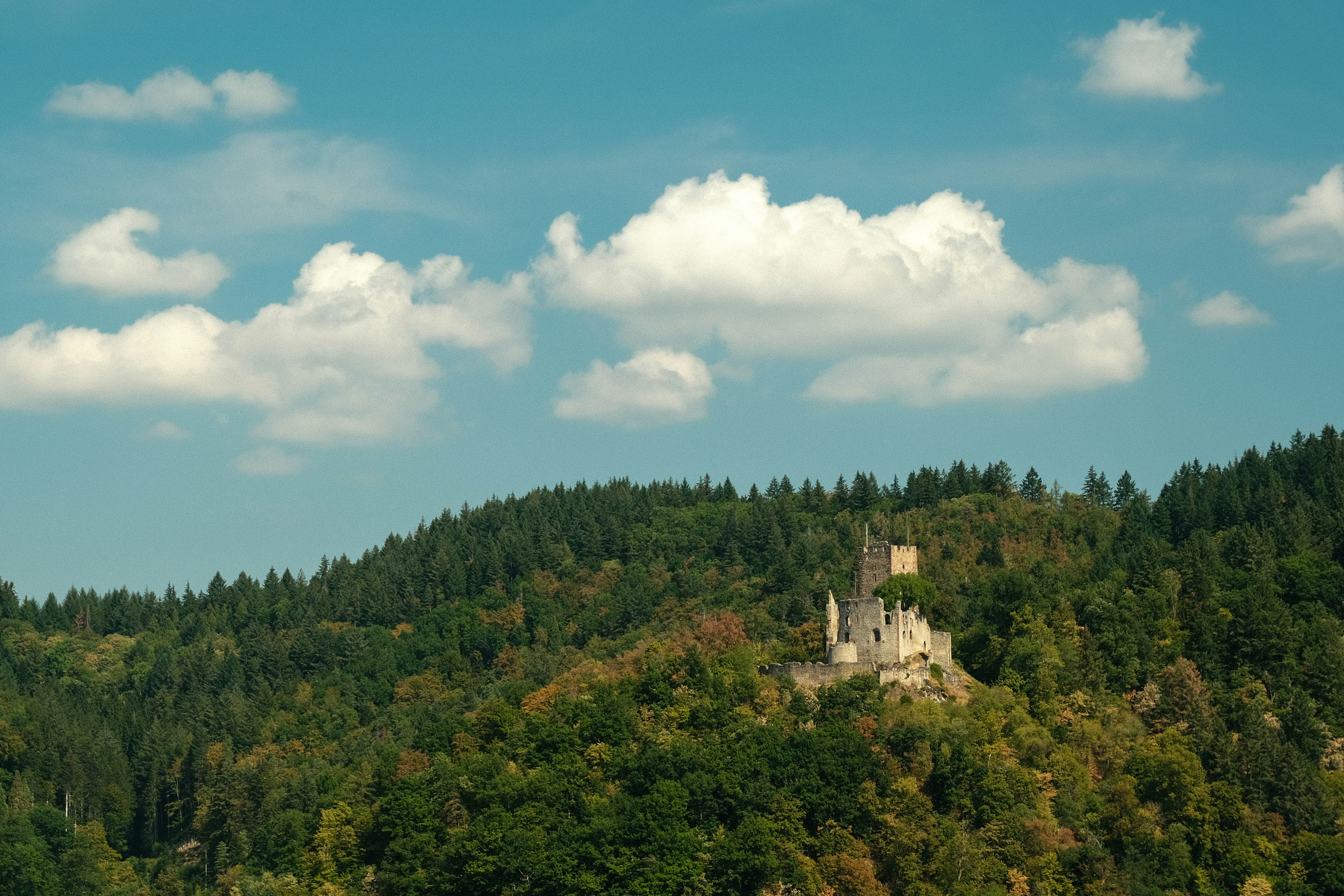Castle on the Hill: A Quiet Sentinel Amid Autumn Pines