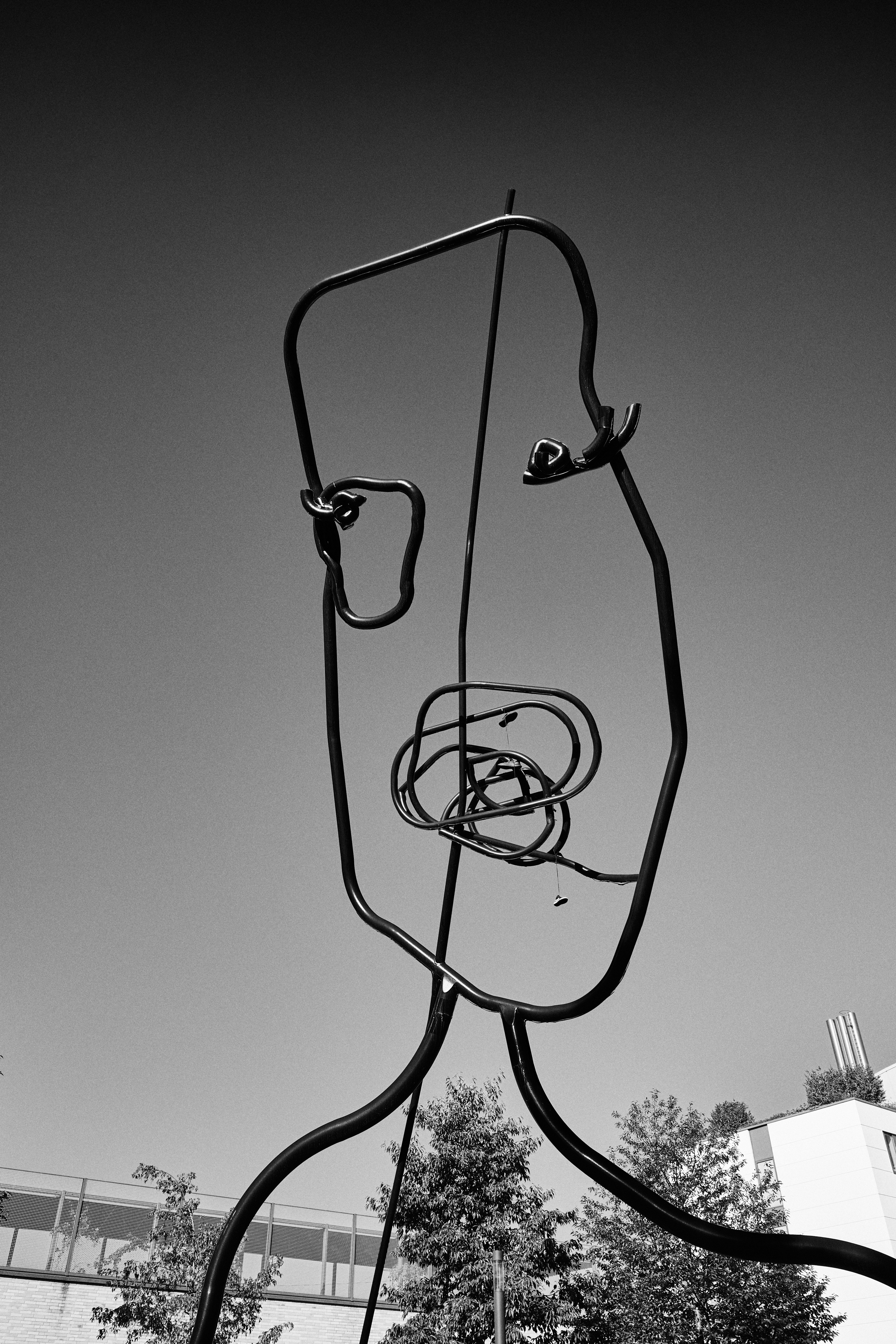 Linear Echo: A Metal Portrait Against the Sky