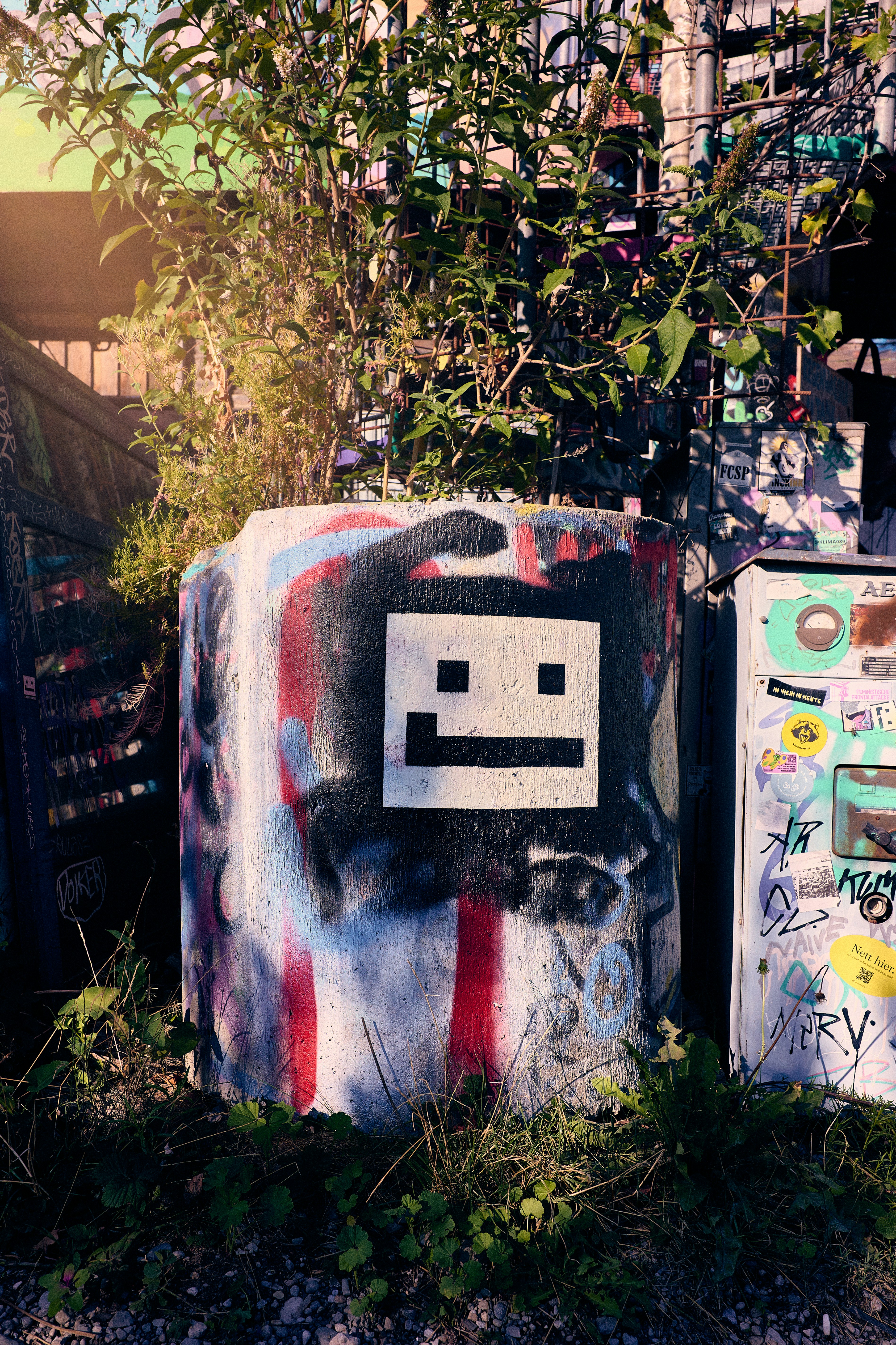 Urban Graffiti Sentinel: A Smiling Block Surrounded by Overgrowth