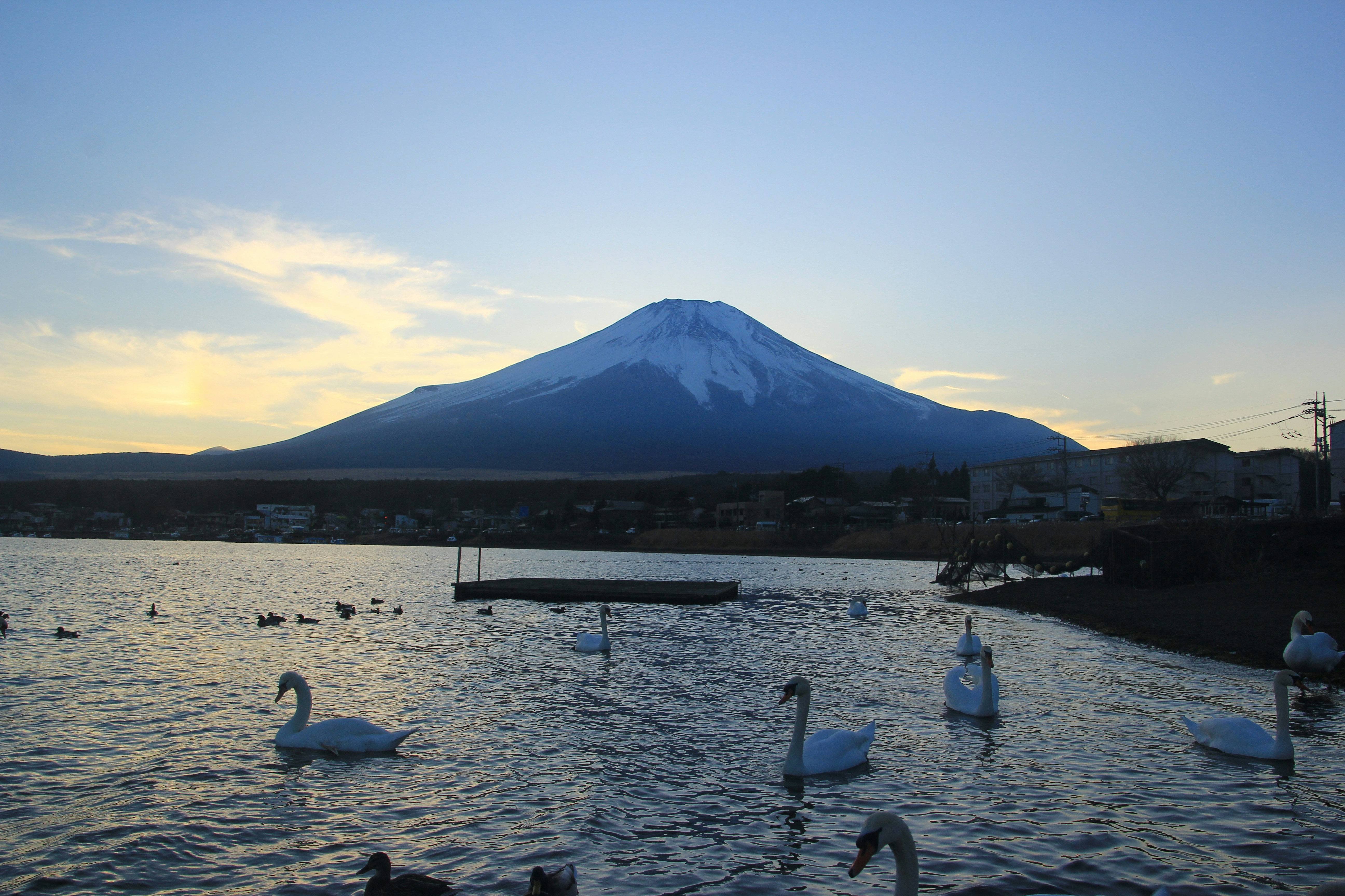 Snow-Capped Mount Fuji Reigns Over a Calm Lake with Swan Silhouettes