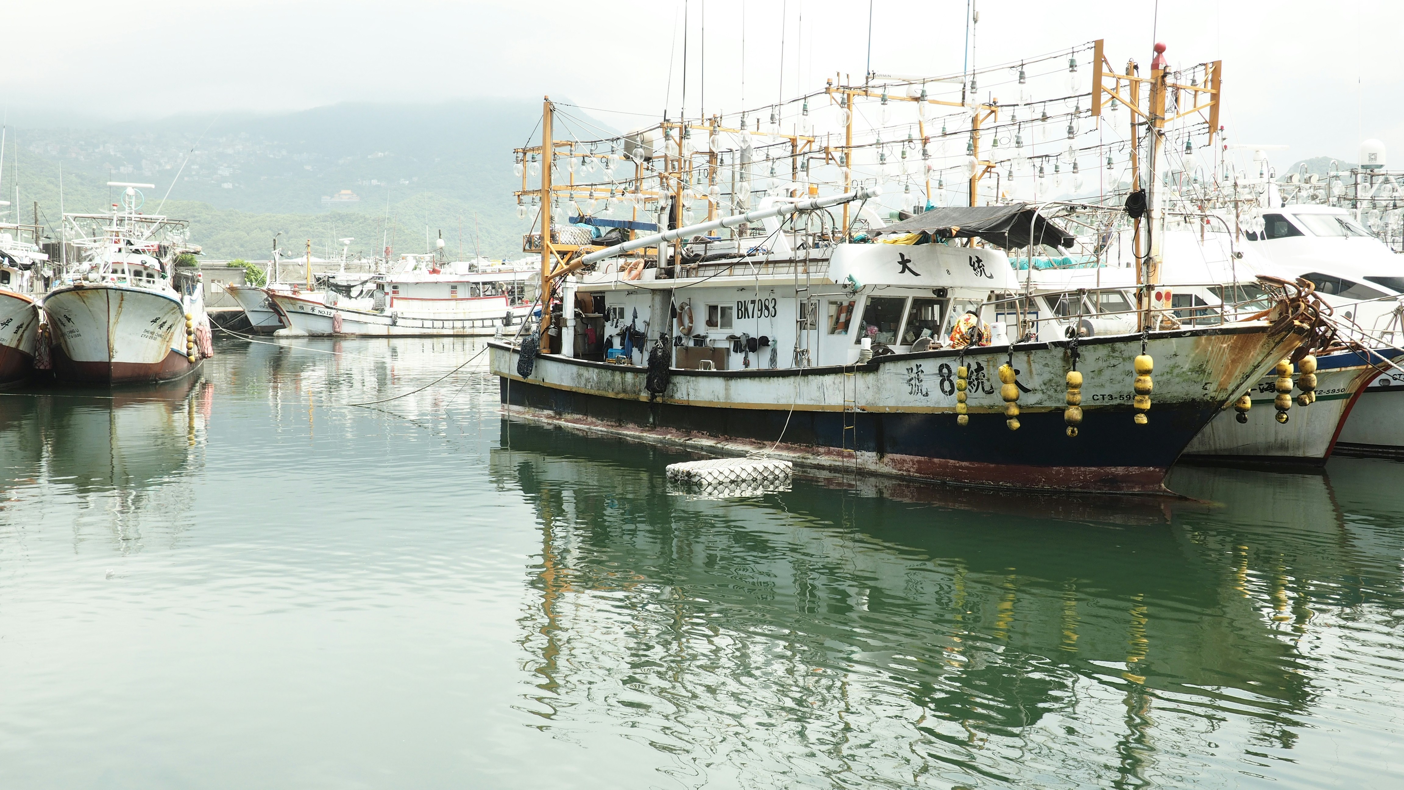 Harbor Faces: Boats Rest on a Calm, Misty Morning