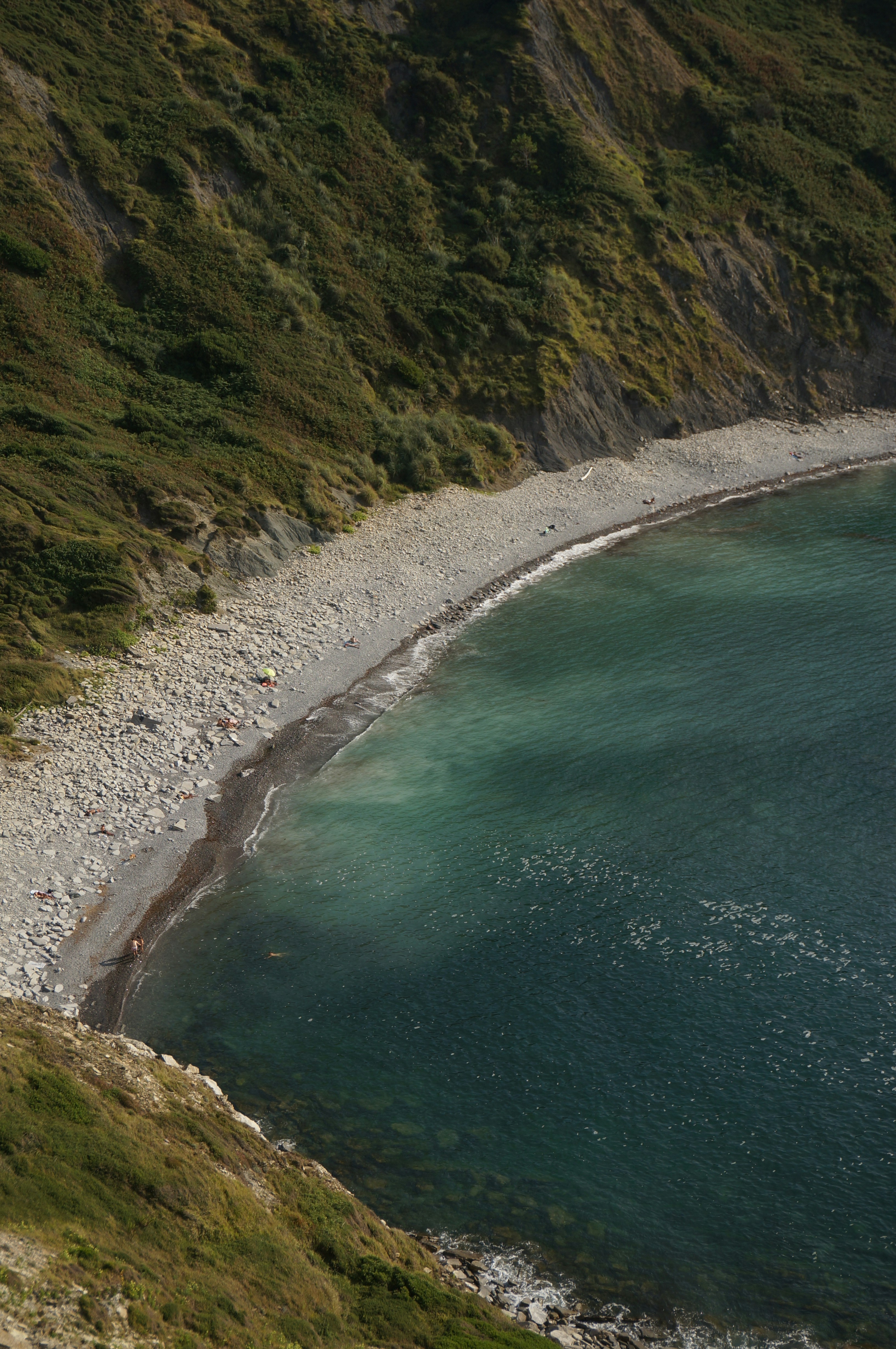 Green cliffs Meet Turquoise Sea: A Quiet Cove from Above
