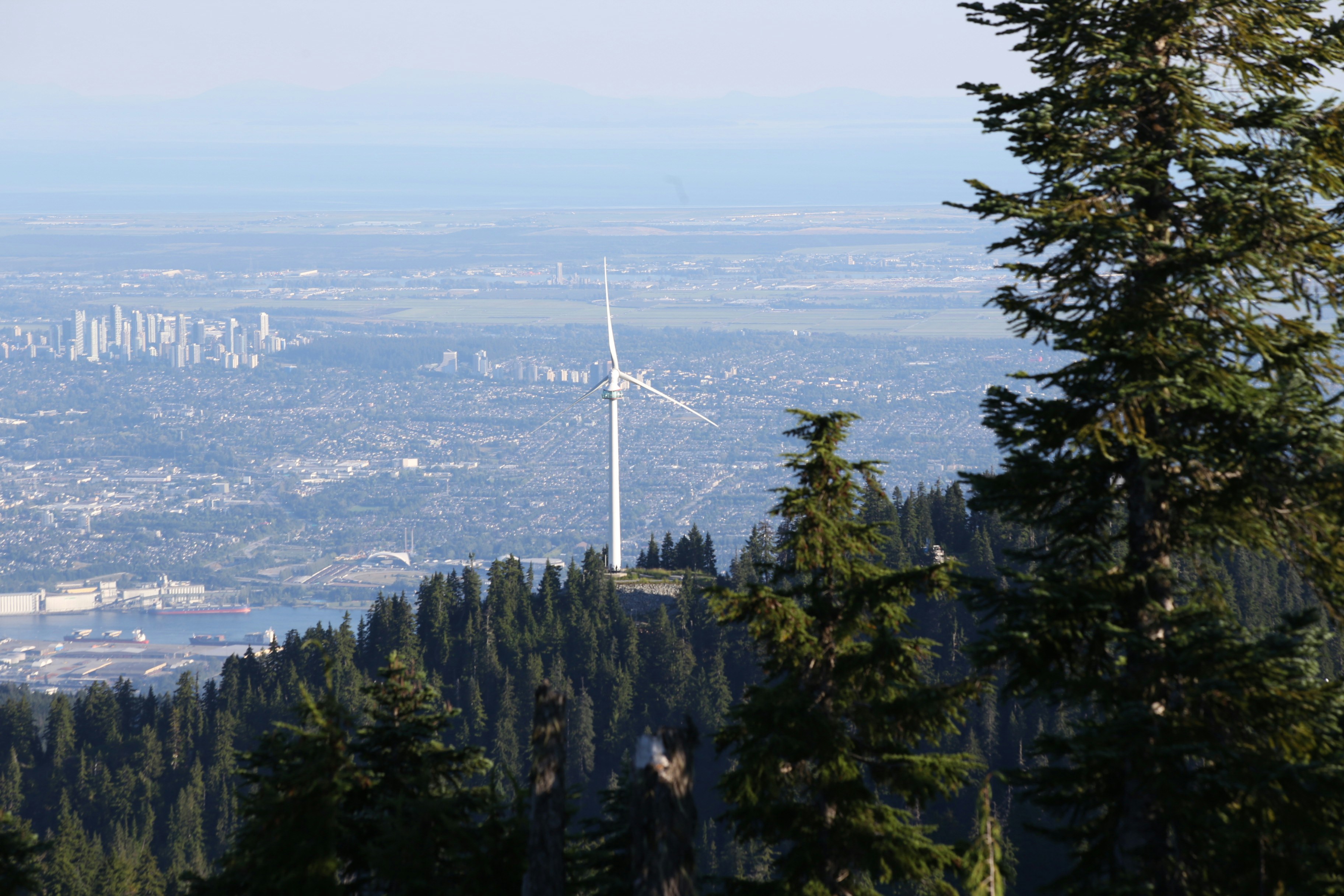 Wind Turbine Crowned Ridge: Valley View from Pine Forest