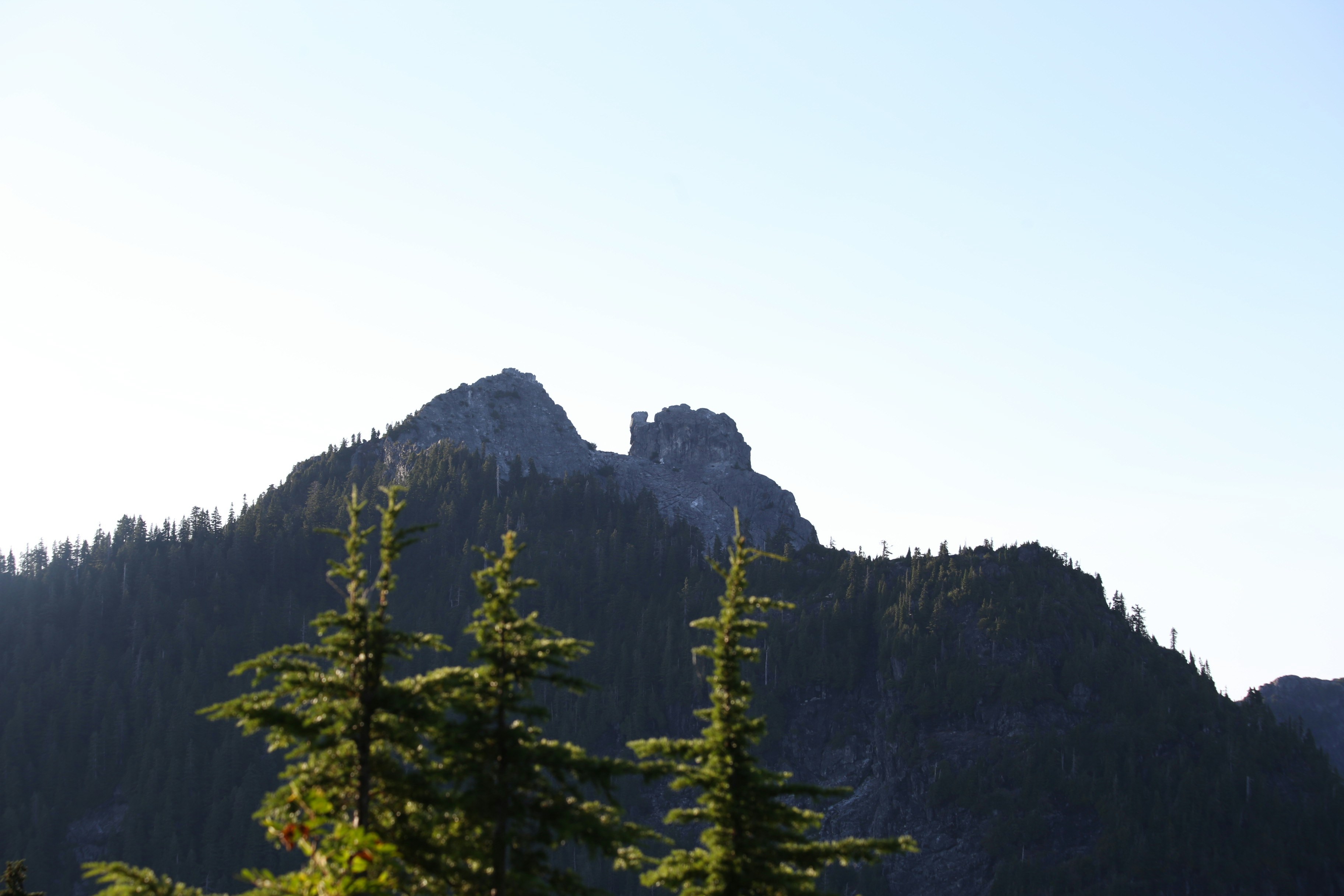 Twin Summit Above the Pines