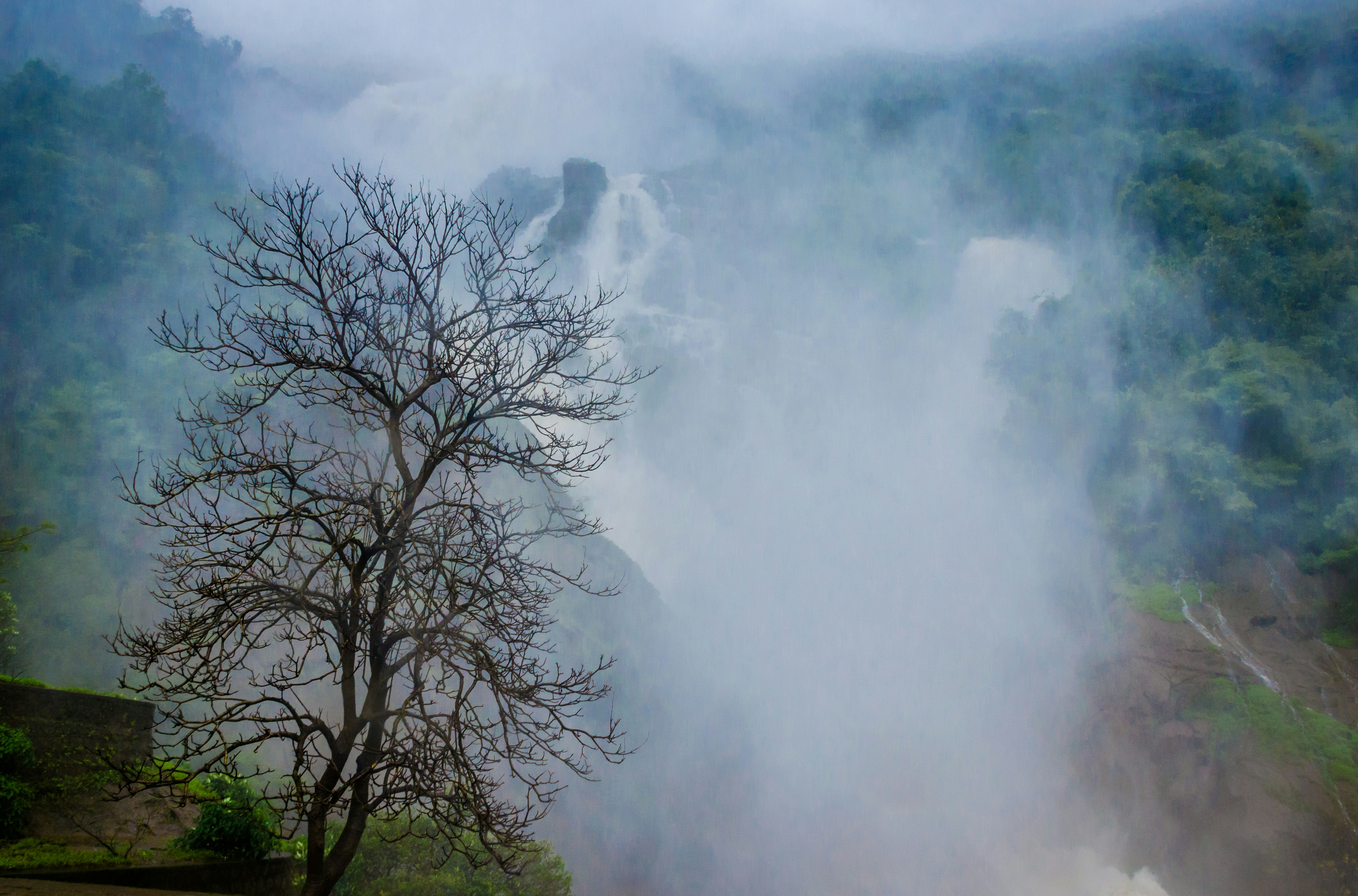 Lonely Tree in Mist Overlooking a Veiled Waterfall