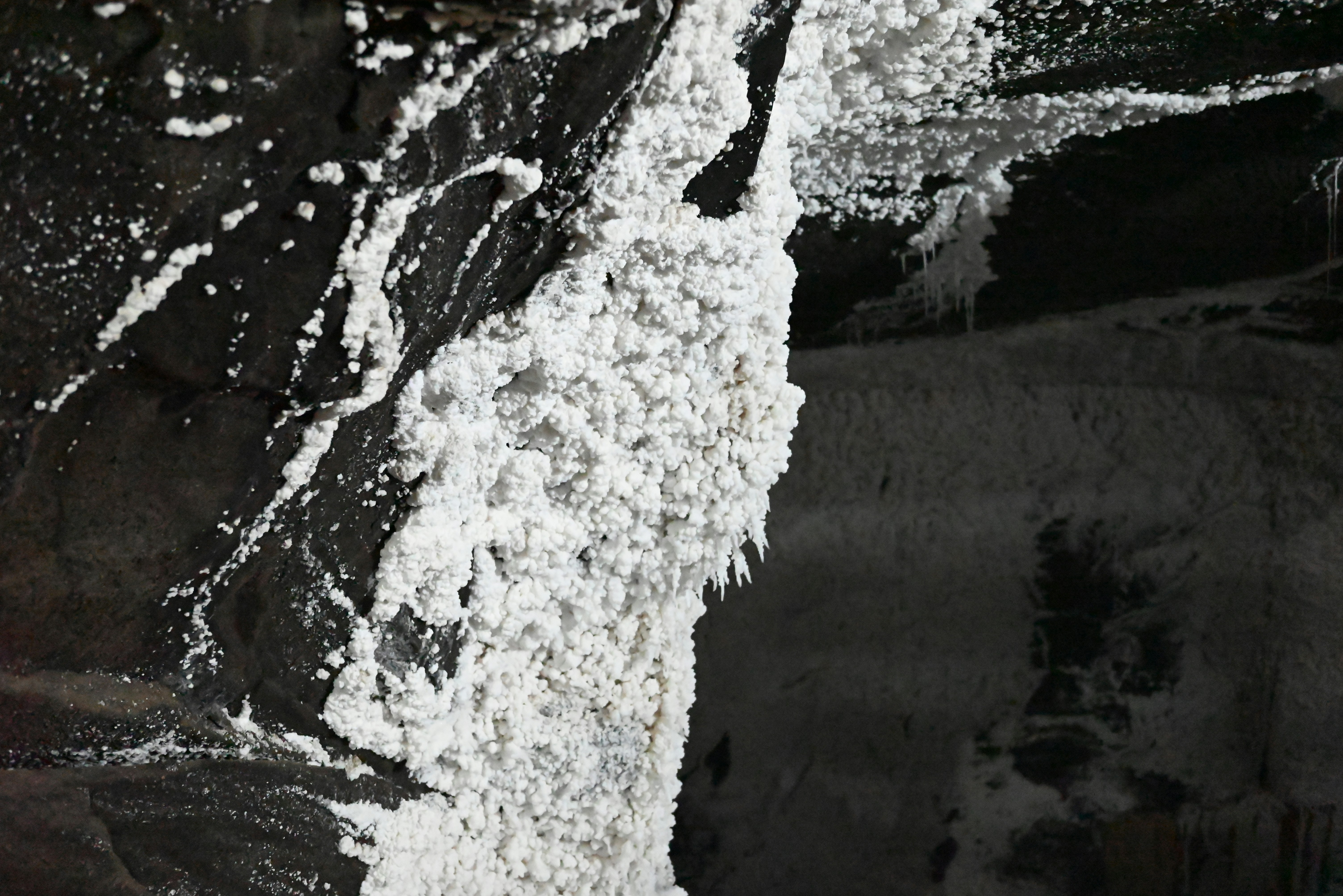 Frosted Icicles Clinging to a Snow-Clammed Crevice