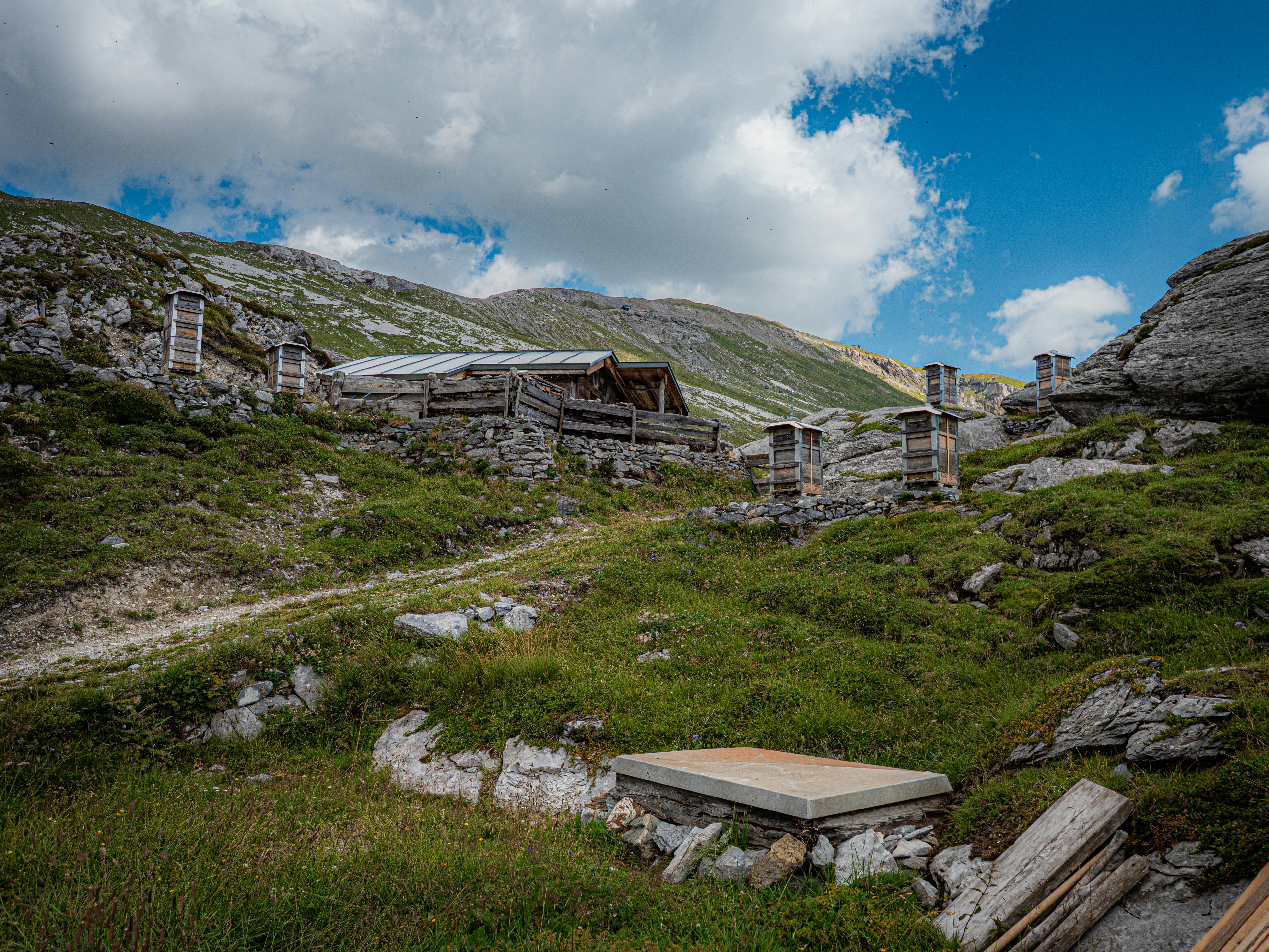 Stone Ridge Bunkers on the Alpine Slope