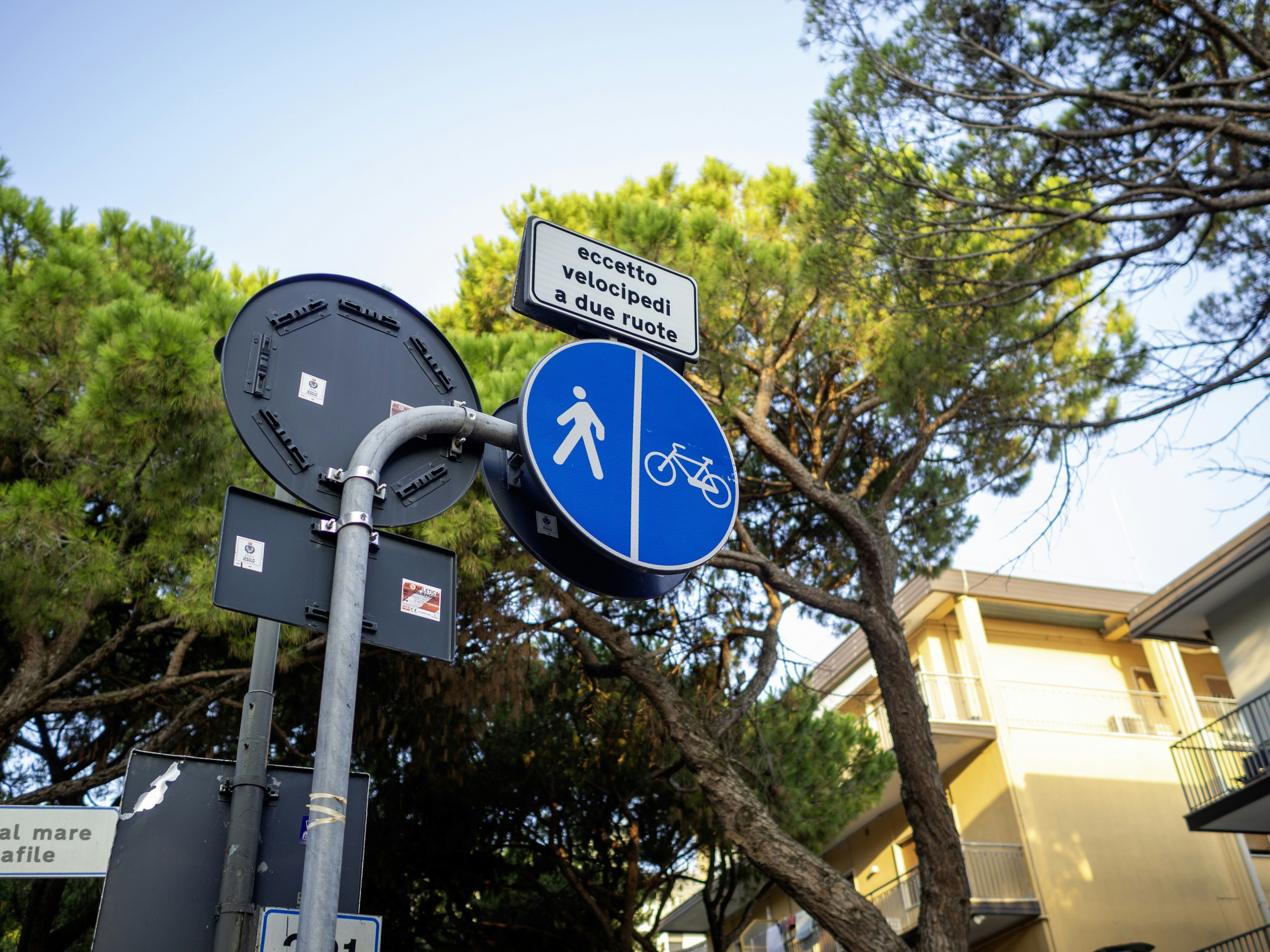 Signs Converge: A Quiet Intersection in Dappled Sunlight