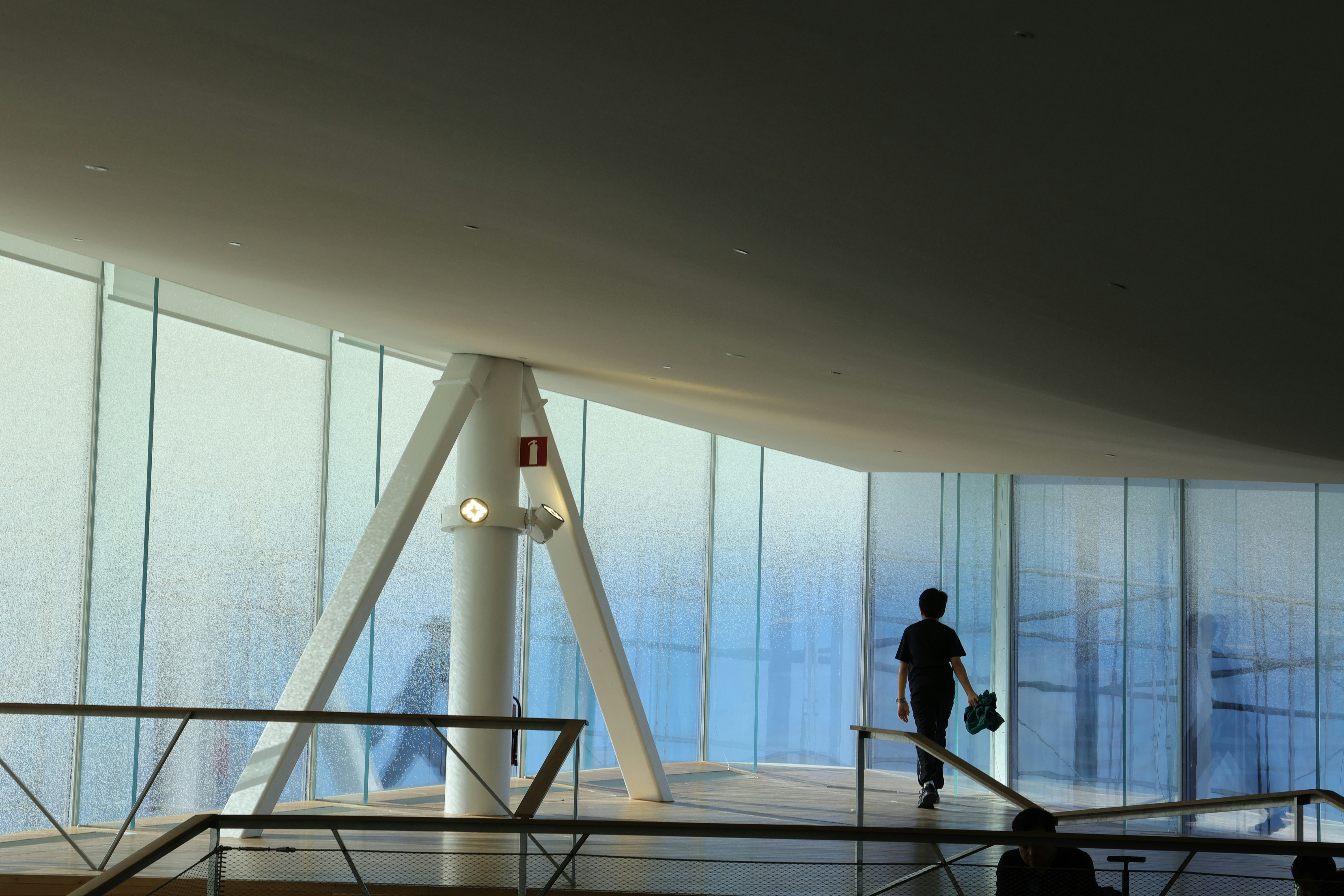 Silhouette on the Skyline: A Lone Visitor in a Glazed Atrium