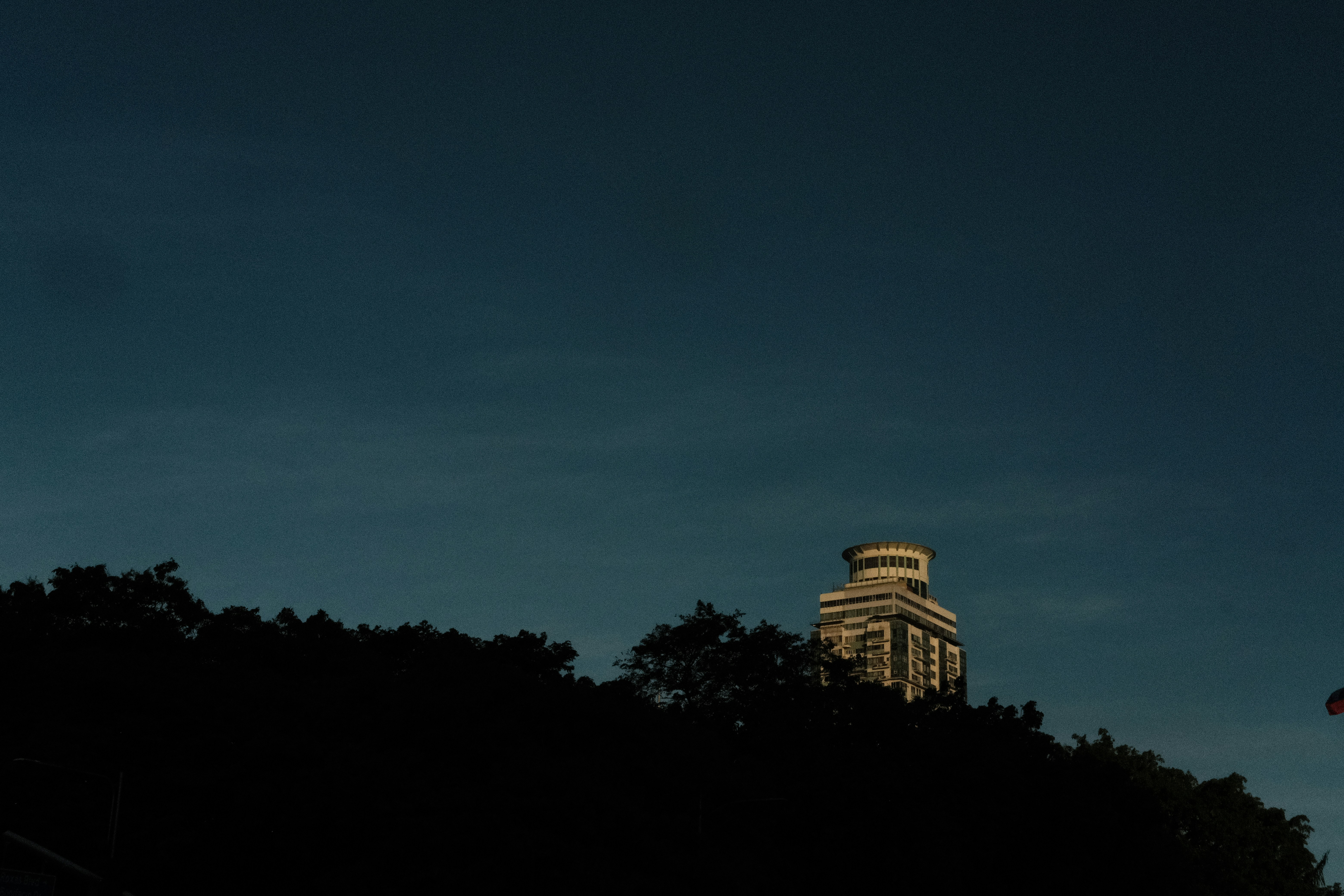 Lone Tower Piercing the Dusk: A City Landmark Rises Above the Treeline