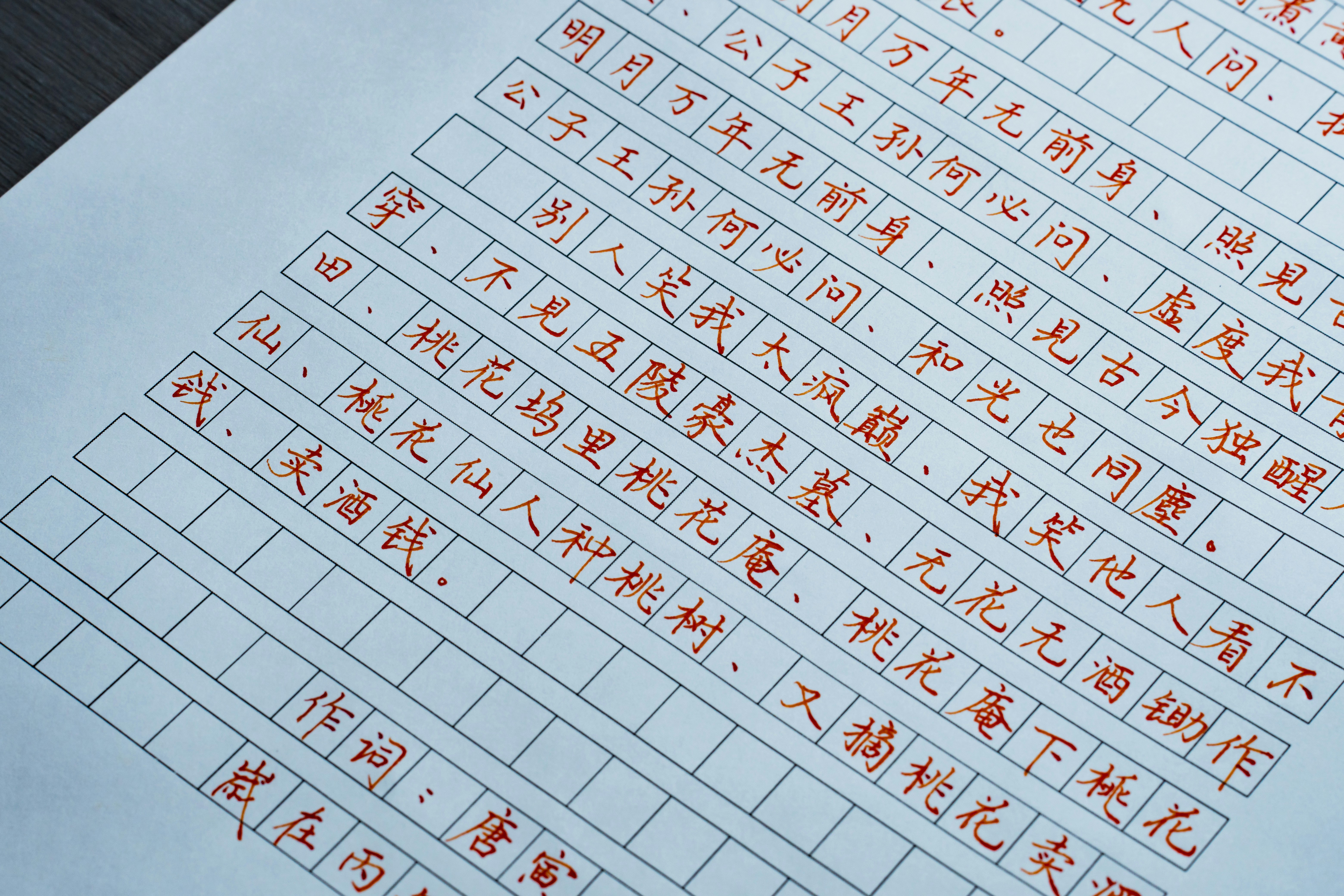 Red Ink on Lines: A Language Lesson in a Chinese Script Page
