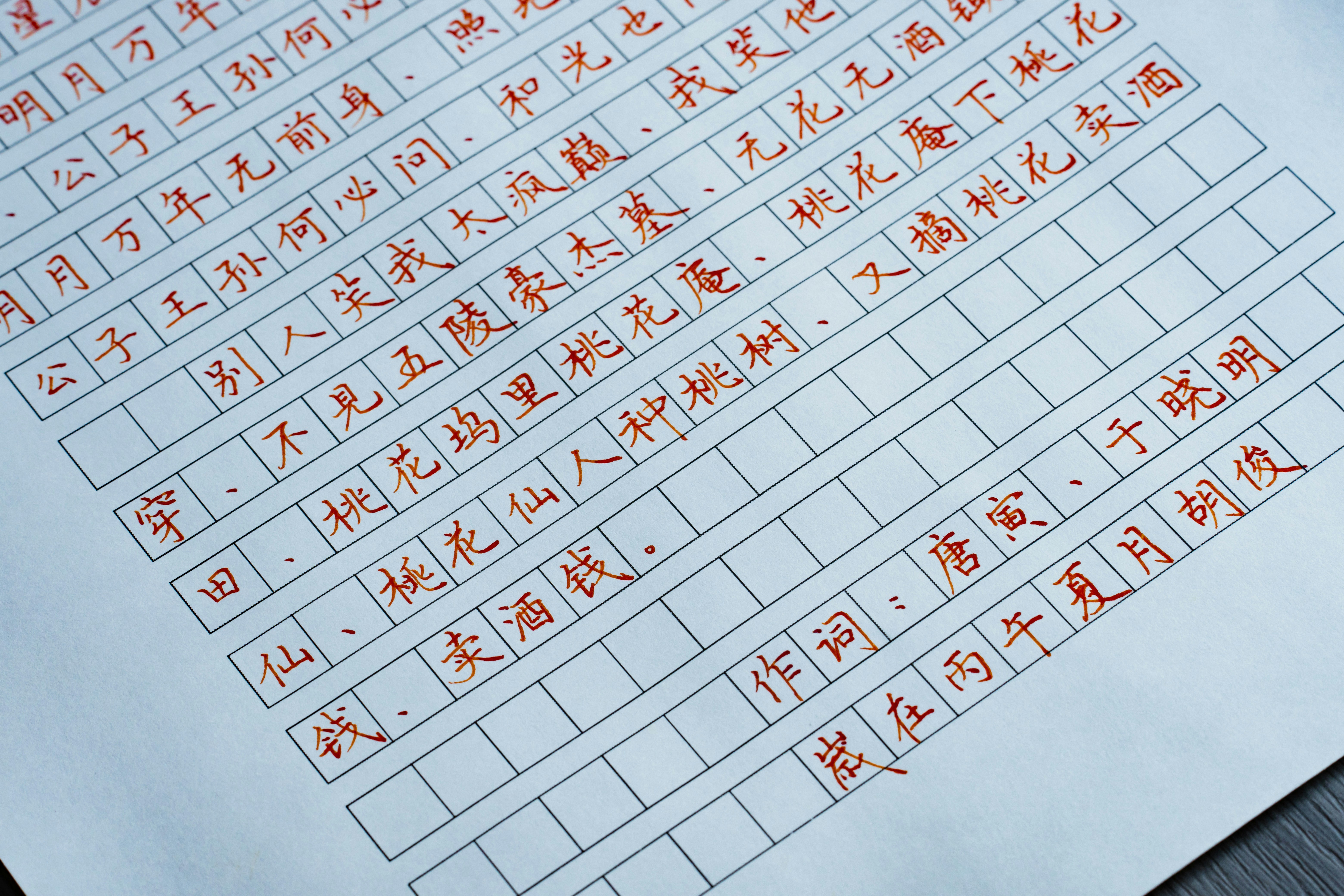 Redacted Script: Careful Chinese Characters Arranged in Grid