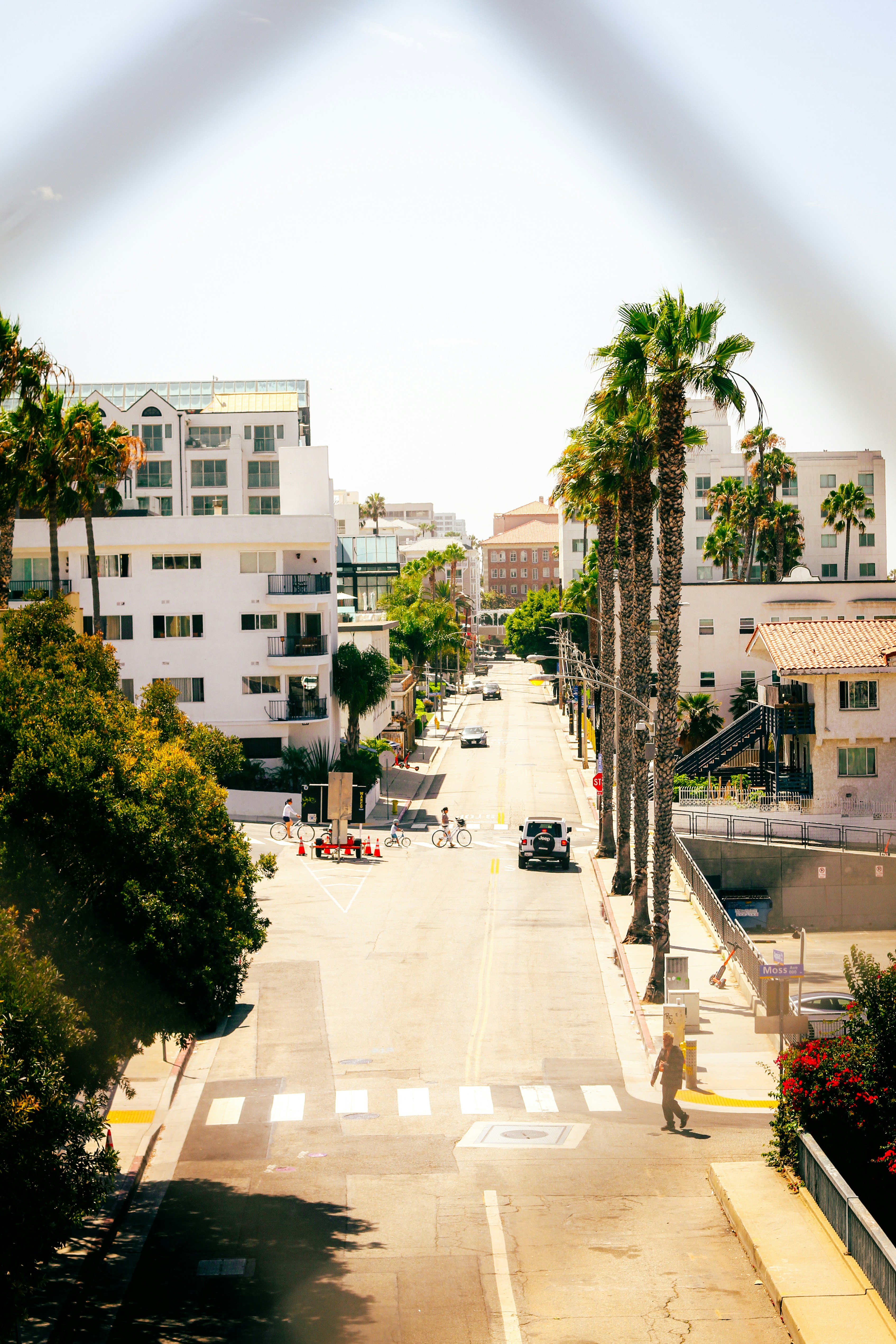 Sunlit Avenida: Palm-lined Street with Urban Edge