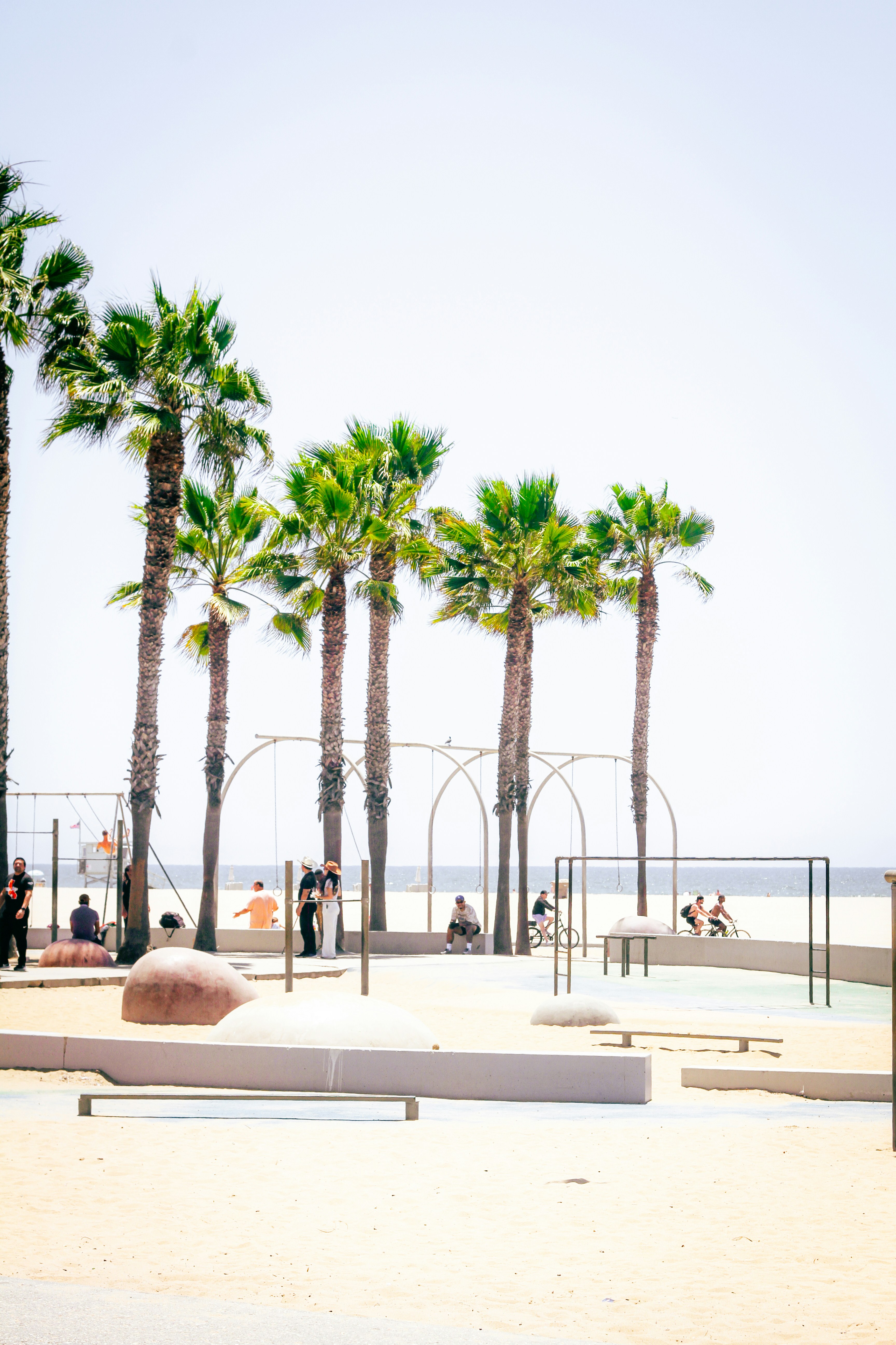 Palm-lined Beach Playground by the Sea