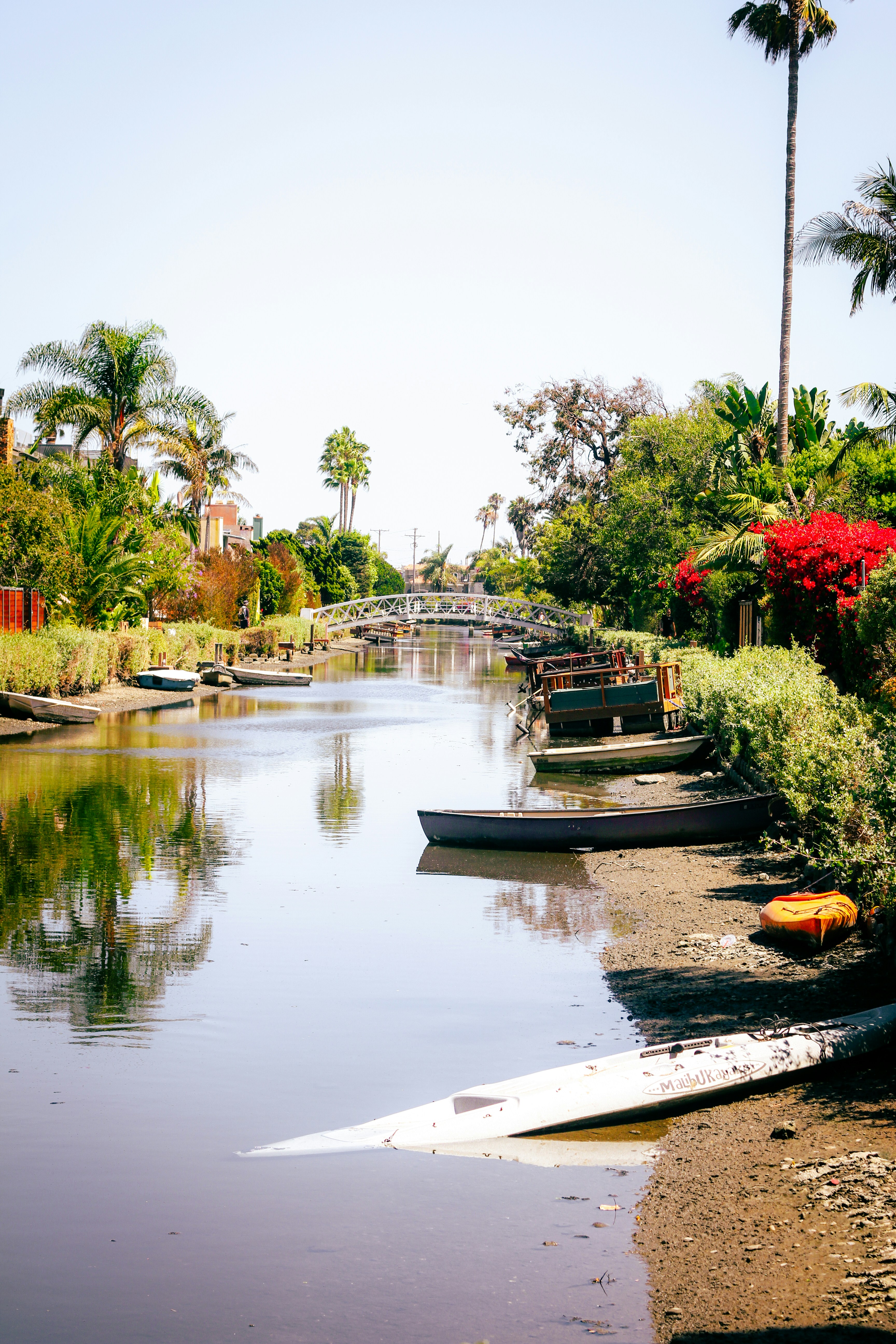 Canal Reverie: Boats, Reflections, and Palm-Lined Quiet