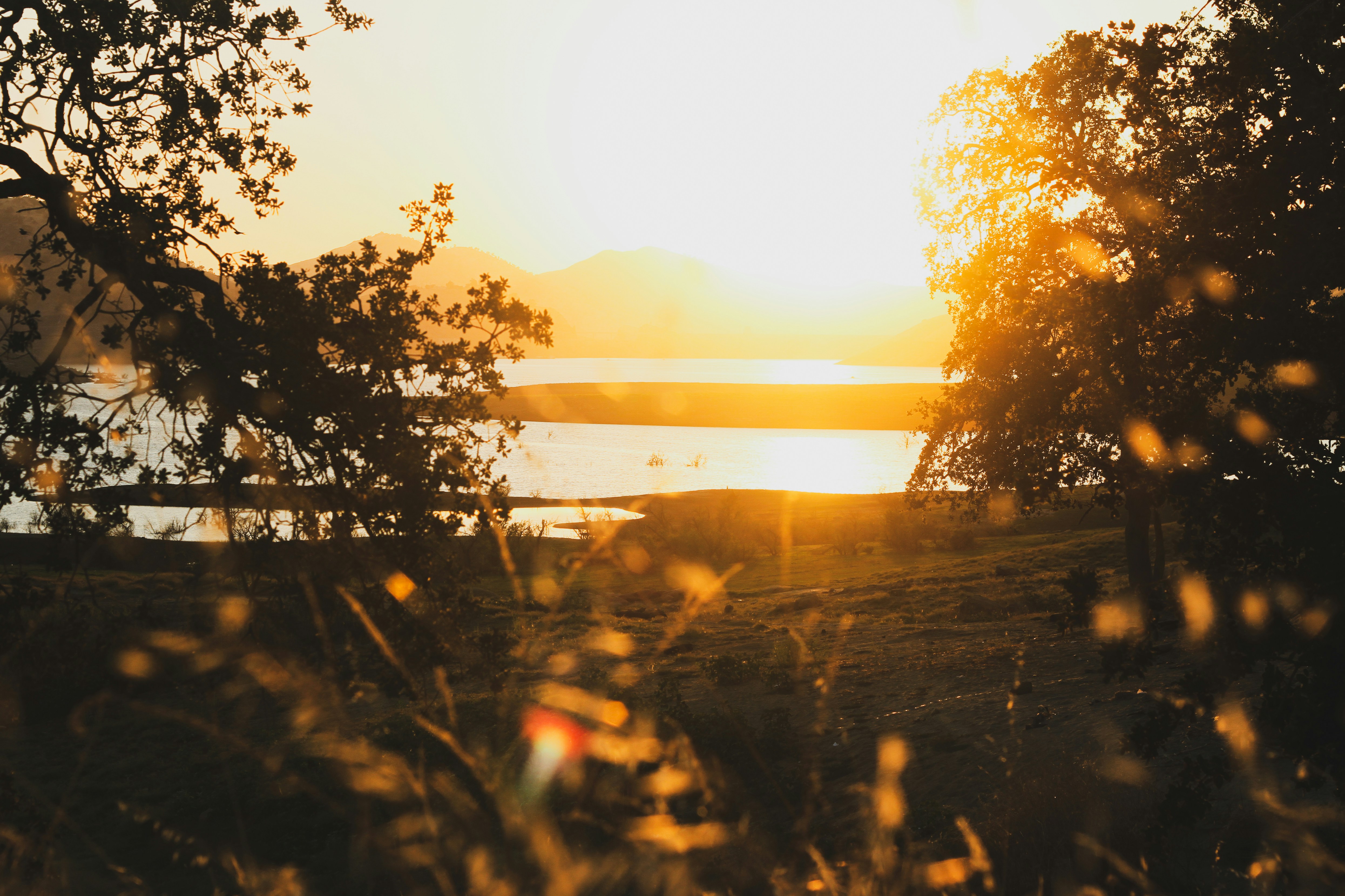 Golden Glow Over Quiet Shore