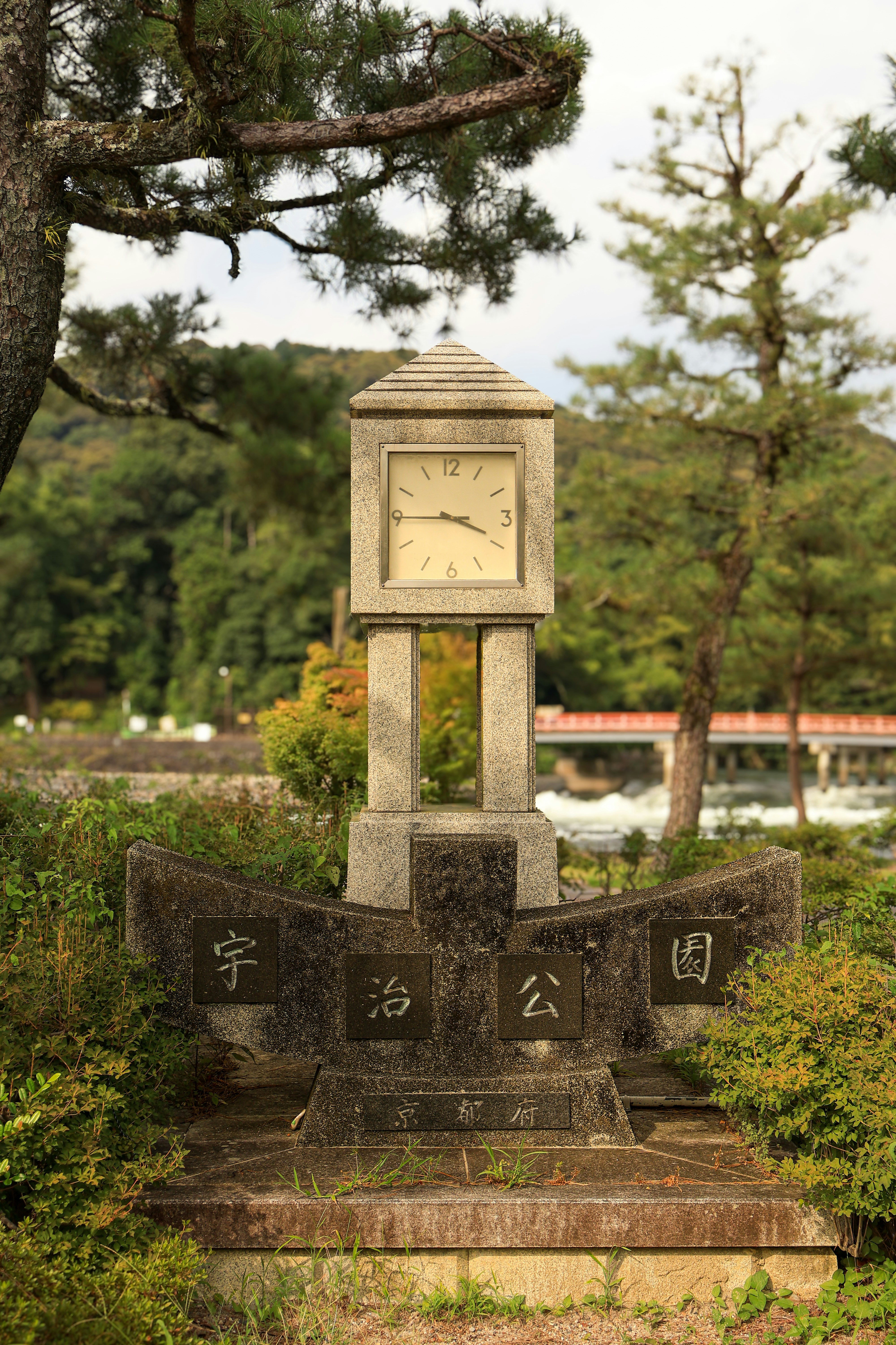Stone Clock Monument Framed by Pines at the Park’s Edge
