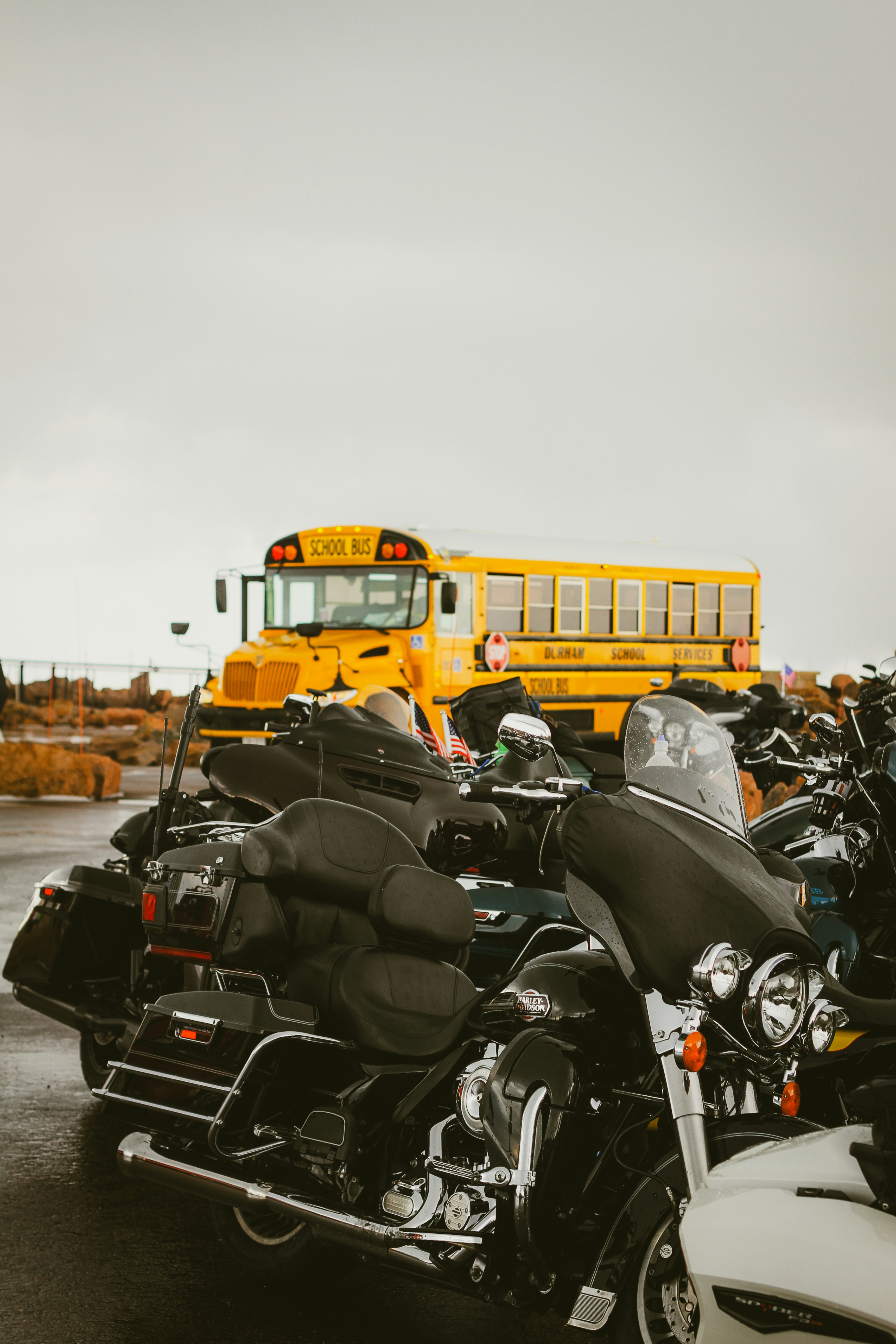 Sunlit Yellow: A School Bus Overlooked by a Rally of Chrome