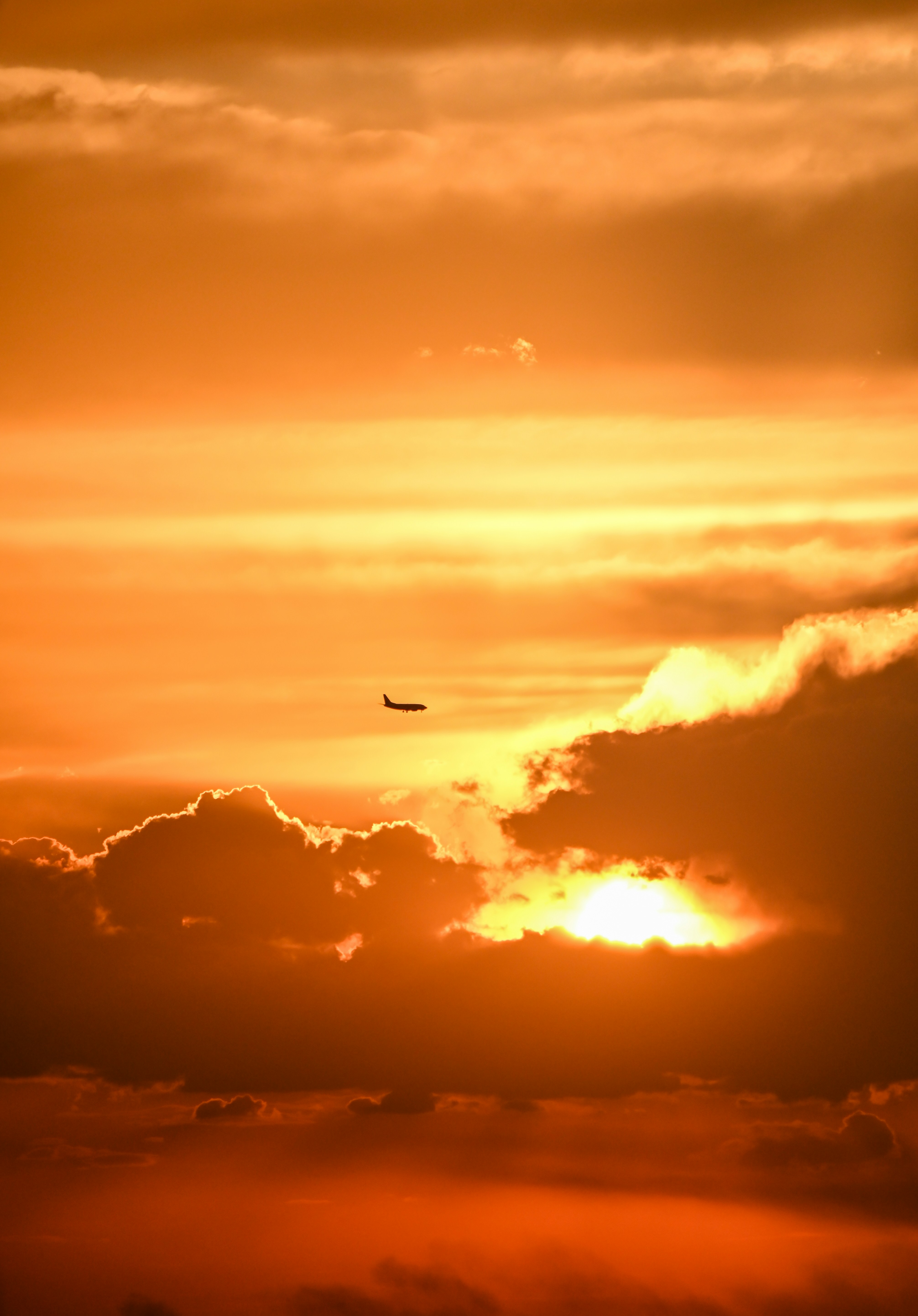 Sunset Flight: A lone bird against a molten horizon