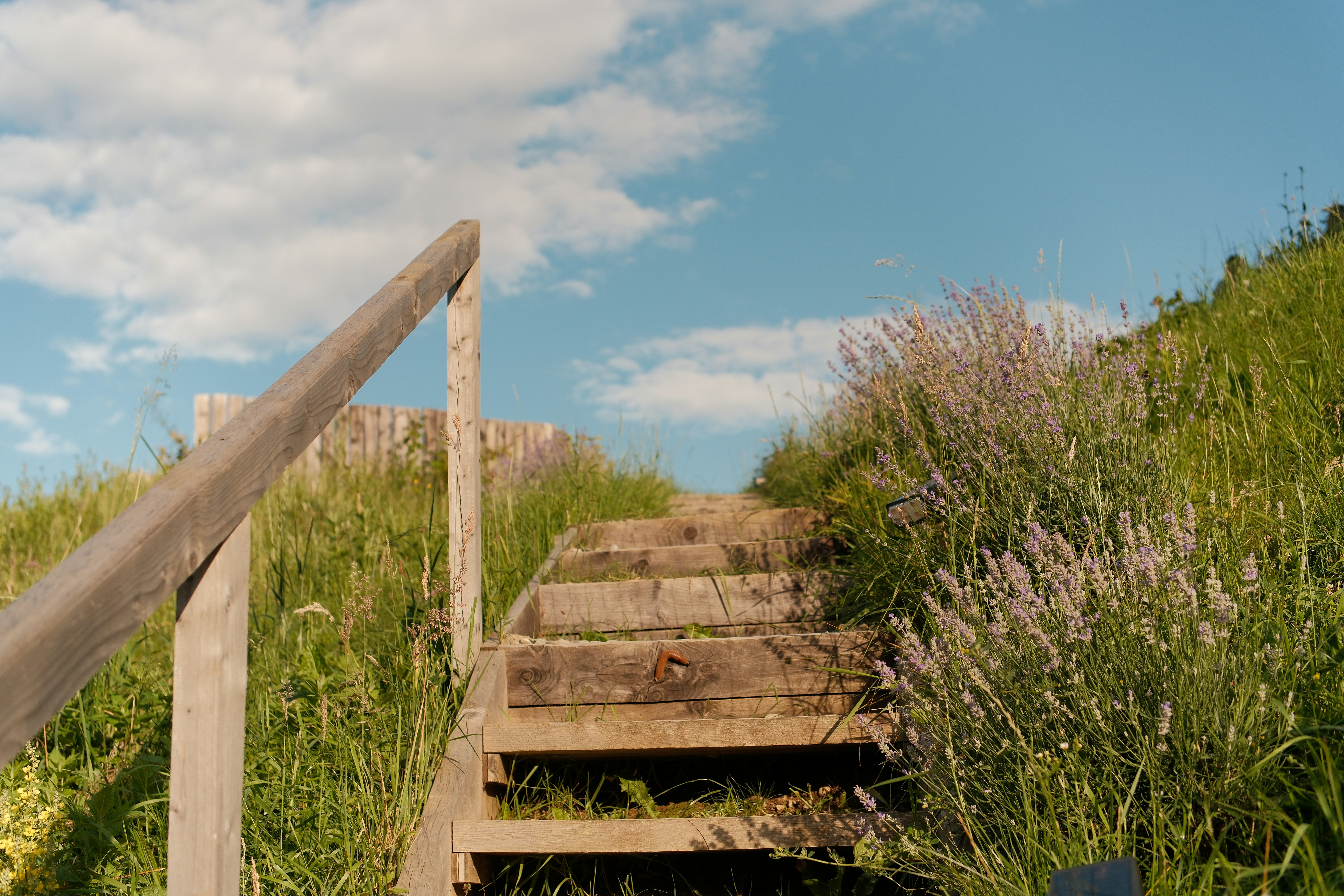 Sunlit Path Up the Wildflower Staircase