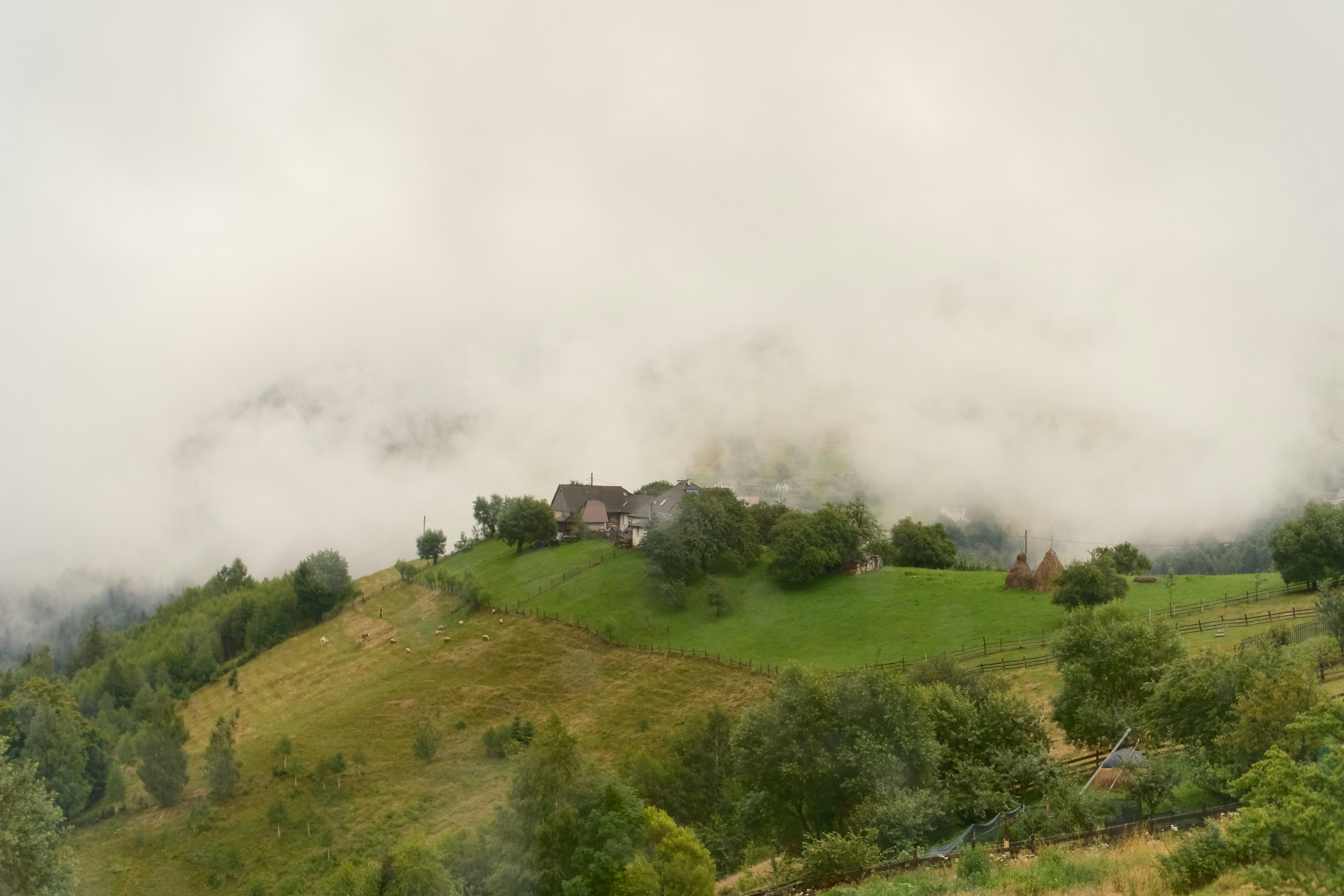 Hidden Hilltop House Shrouded in mist