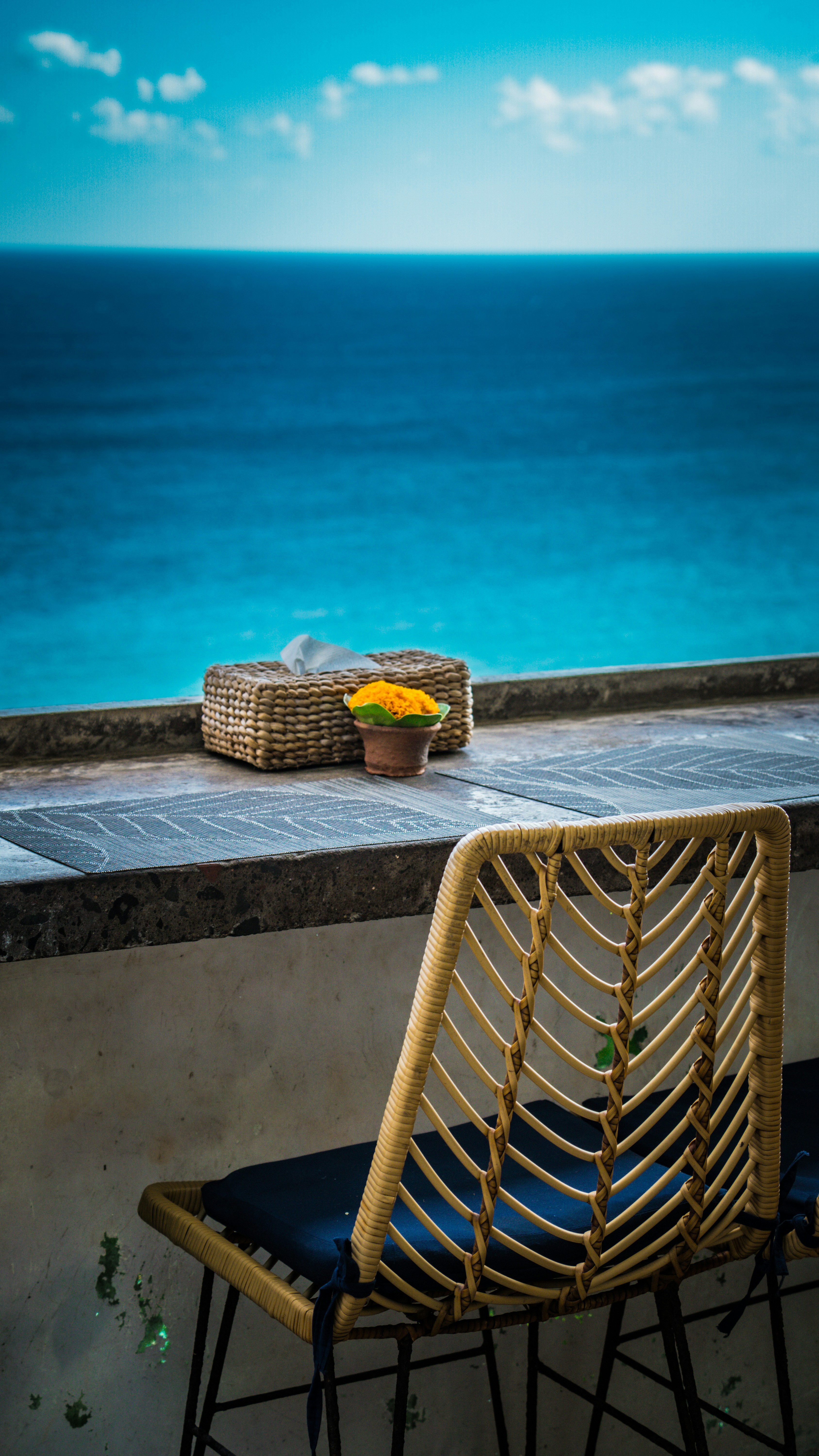 Seaview Terrace: A Teak Seat and Sunlit Florals By the Distant Horizon