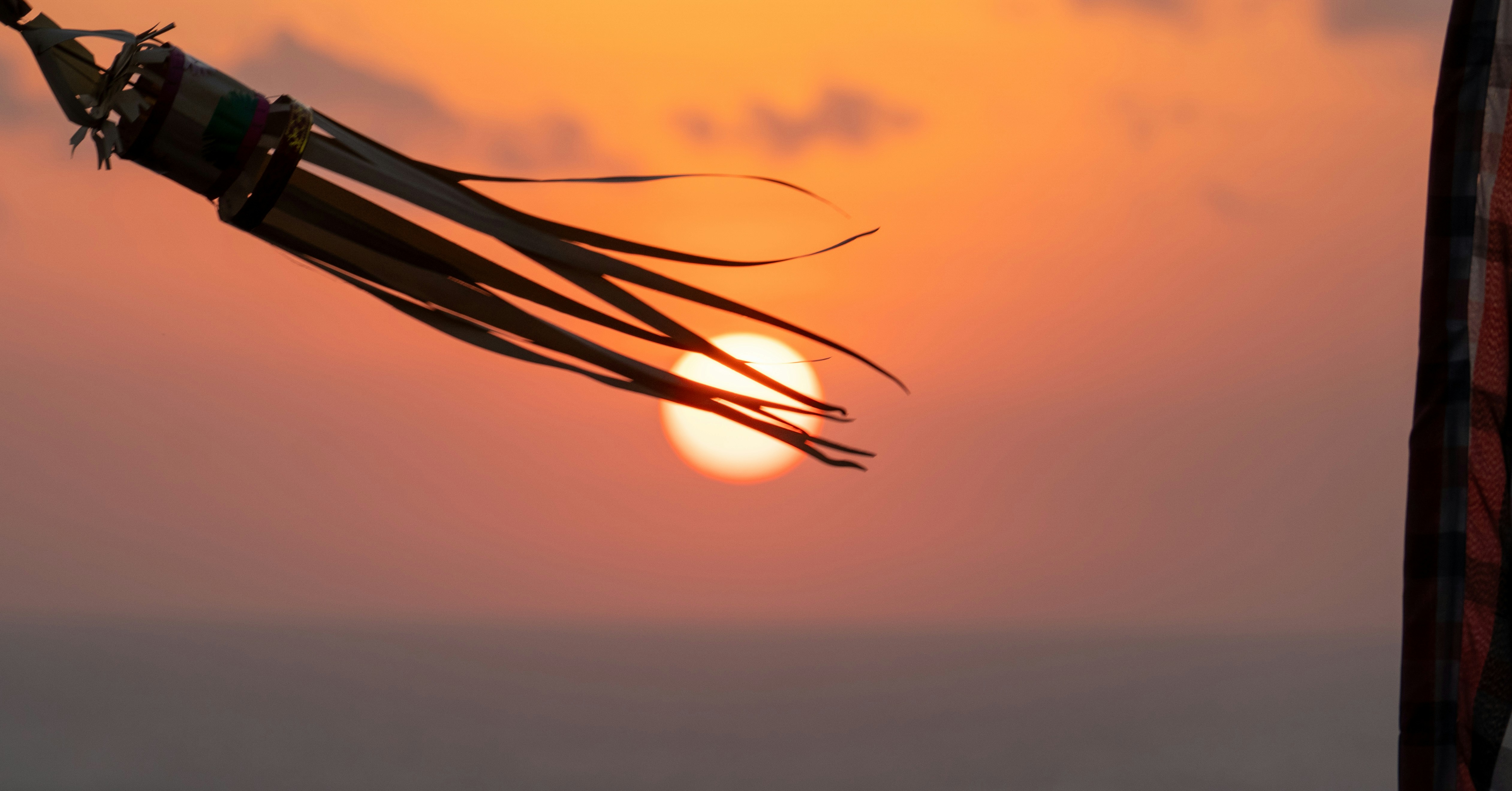 Sunset Rigging: Wind-Driven Strands Against a Calm Horizon