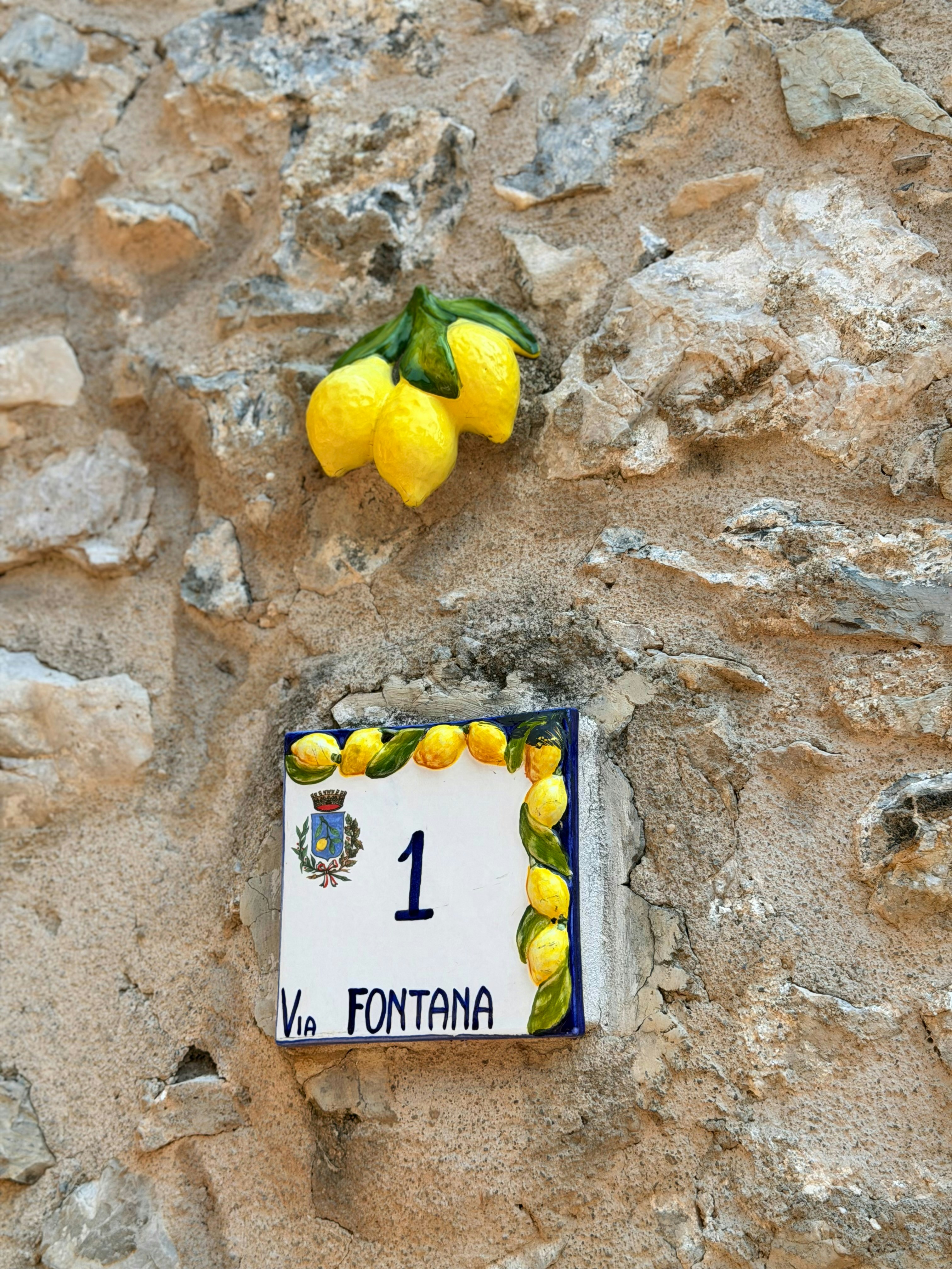 Citrus on Stone: A Lemon Cluster Above a Painted Plaque